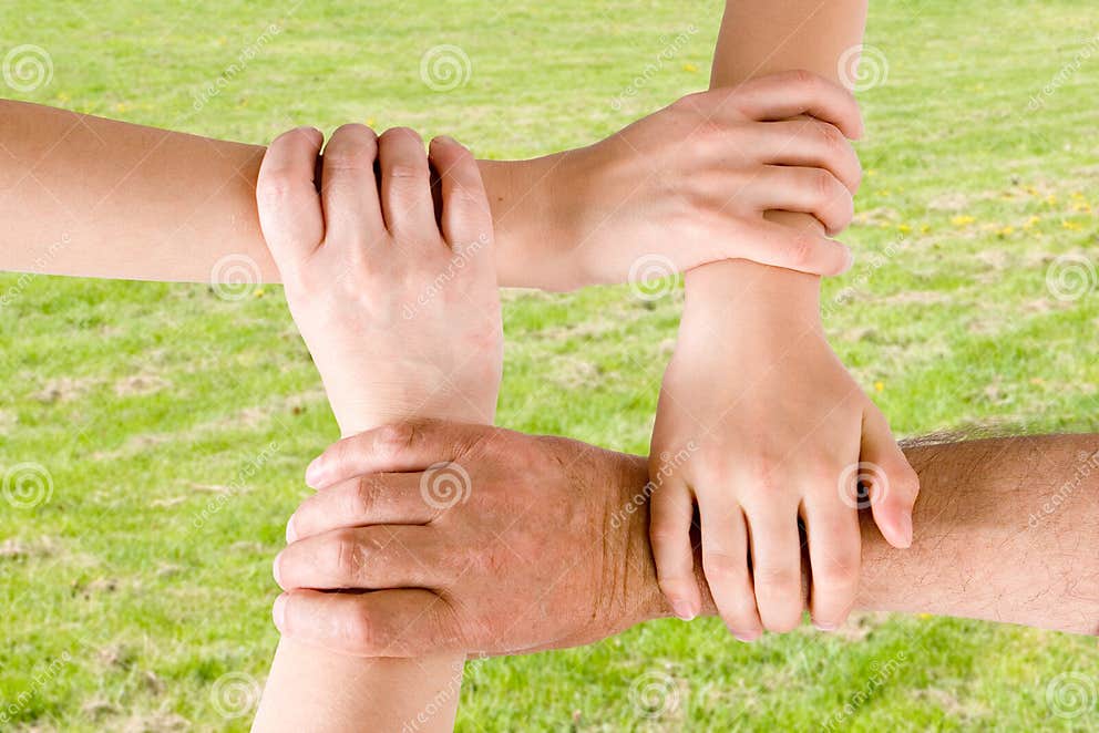 Four hands joined together stock image. Image of joined - 2656957