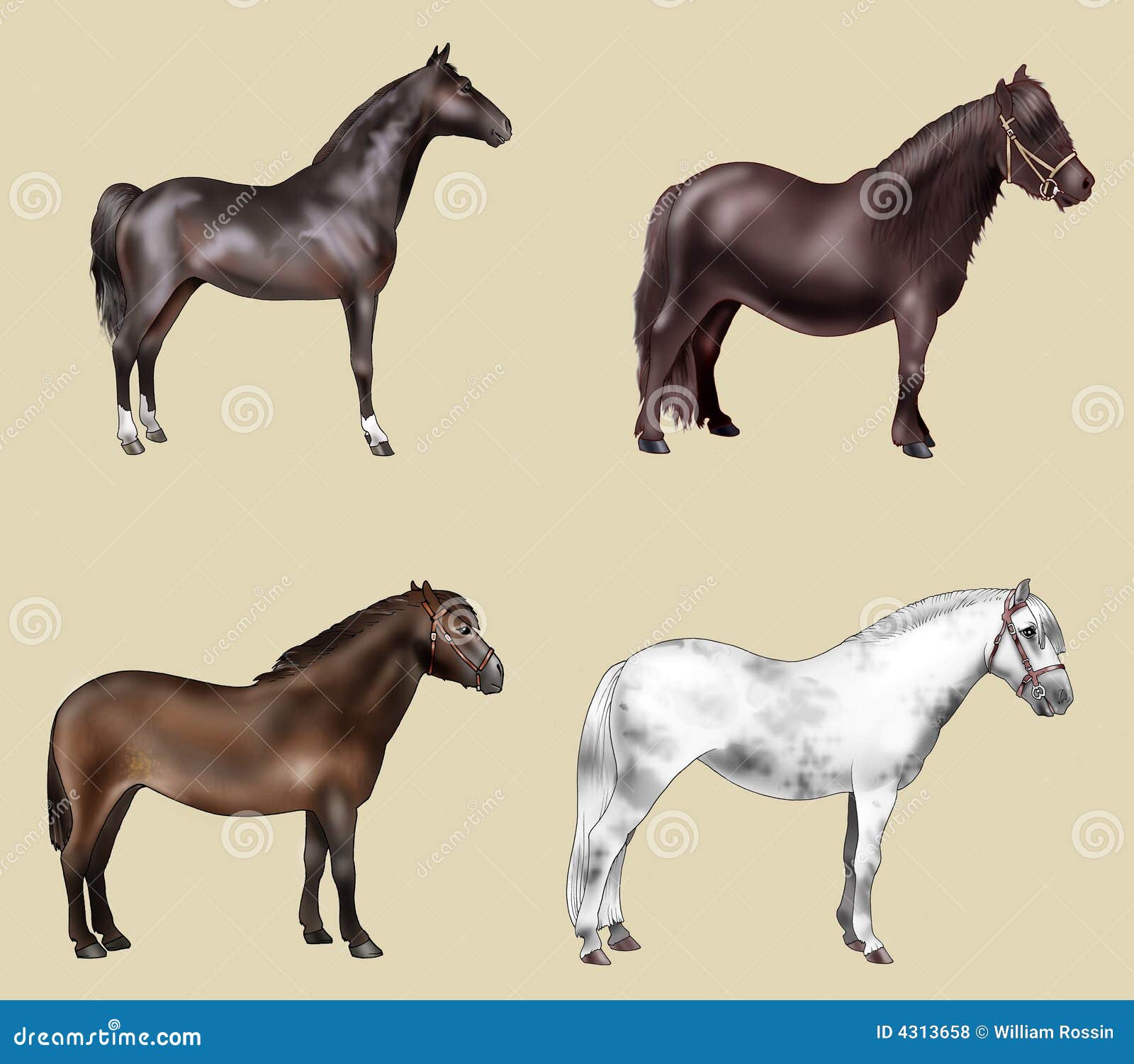 Four Horses Symbol Or Insignia Cartoon Vector | CartoonDealer.com ...