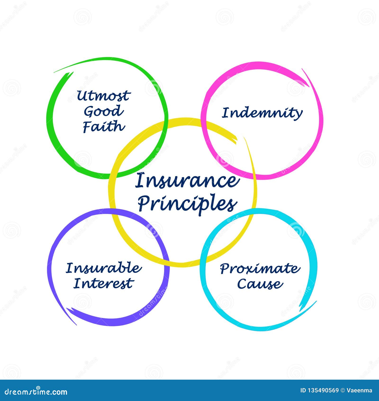 Four Insurance Principles Royalty-Free Stock Photo | CartoonDealer.com ...