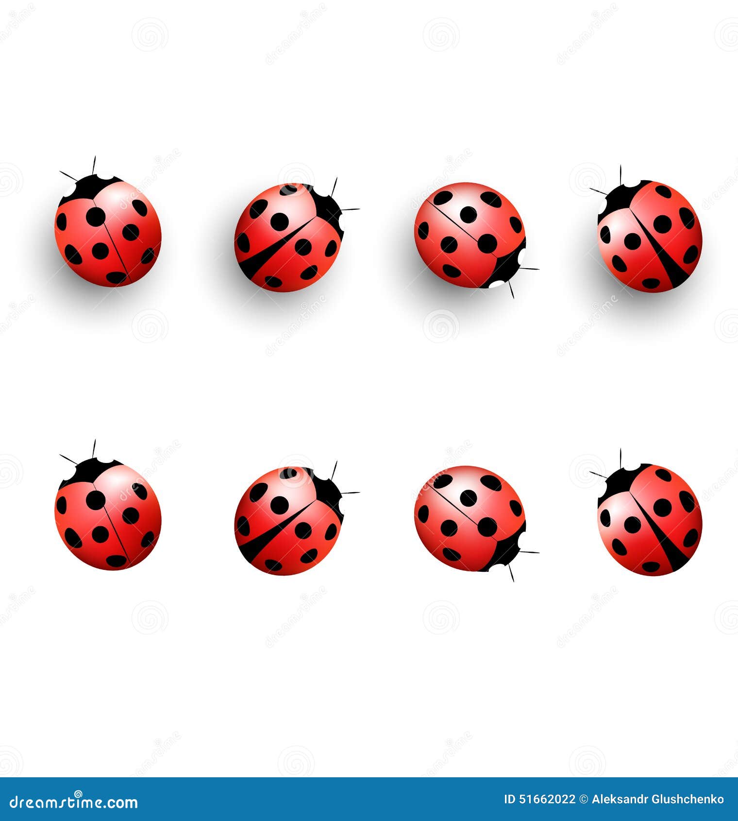 Four Lady Bugs with Shadows and Isolated on White Stock Vector ...