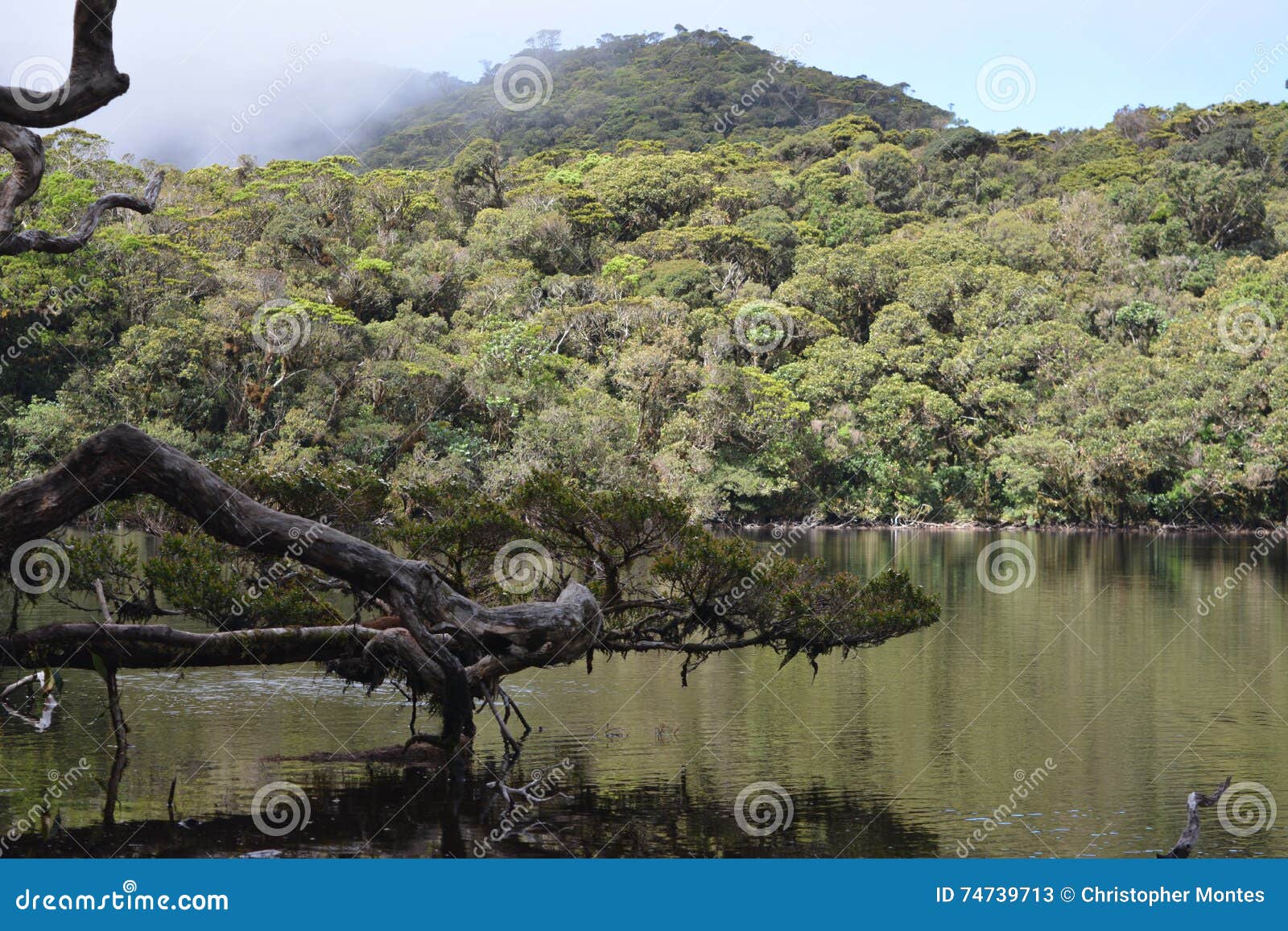 The Four lakes stock image. Image of four, philippines - 74739713