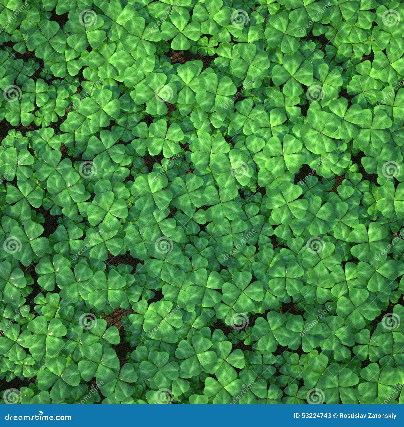 Four-leaf Clover Field for Background Stock Image - Image of green ...