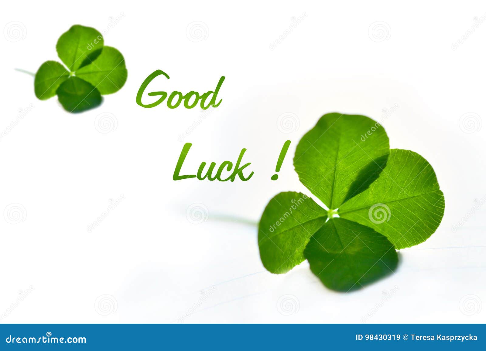 Four Leaf Clover For Good Luck Stock Illustration Illustration Of Isolated Lucky 98430319