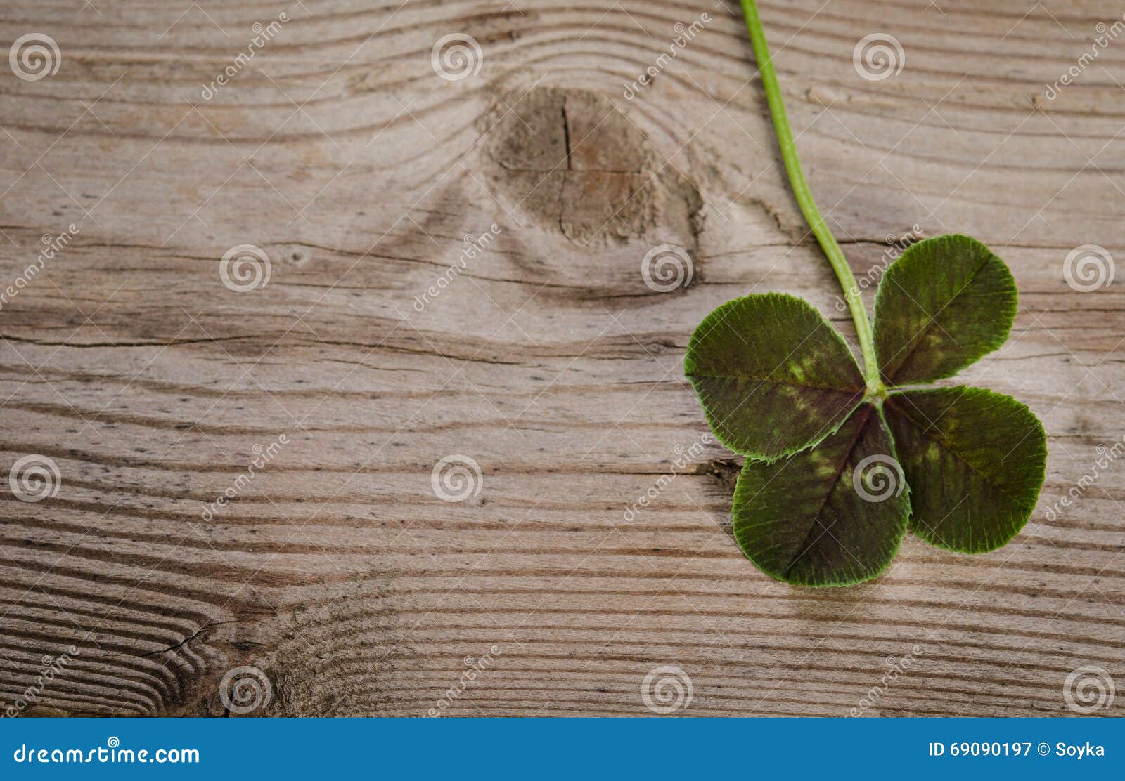Four-leaf Clover for Good Luck Stock Image - Image of lieves, four ...