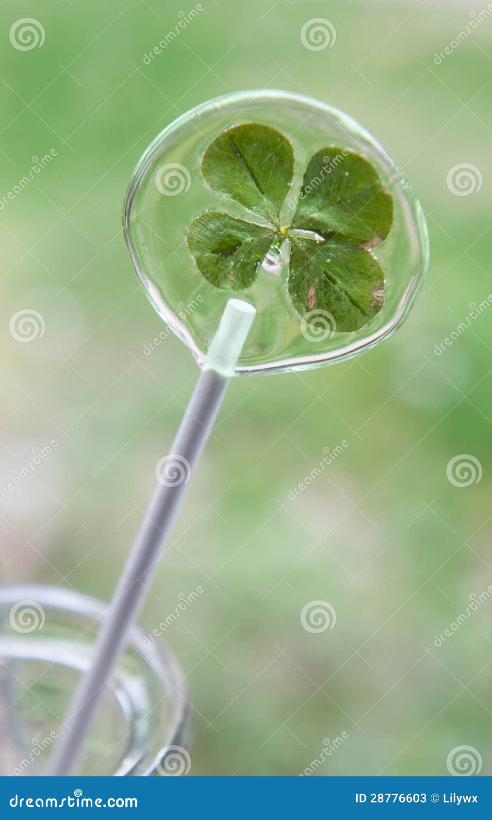 Four Leaf Clover Stick Stock Photos - Free & Royalty-Free Stock Photos ...