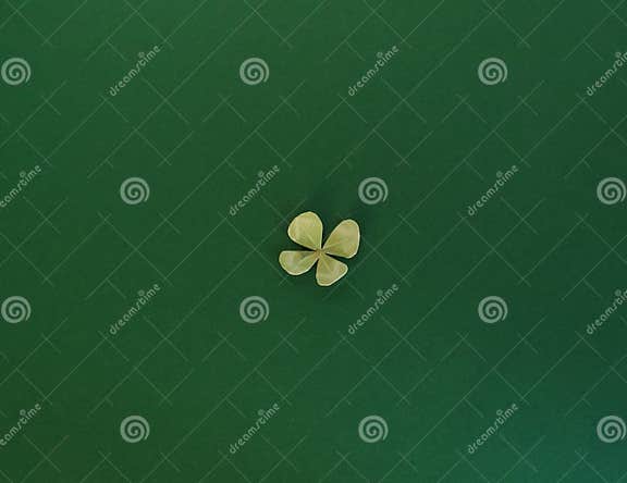 Four leaf clover stock photo. Image of table, minimalism - 110539868