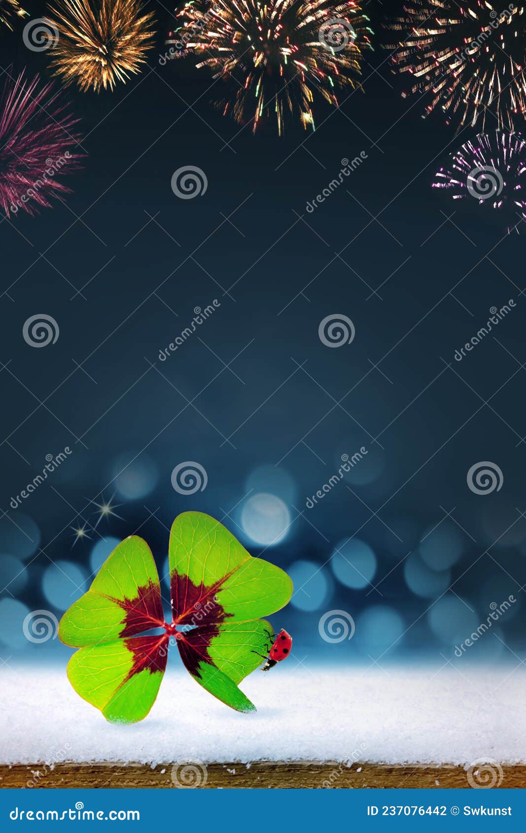 Shamrock Four Leaf Clover Isolated on Colored Firework Background ...