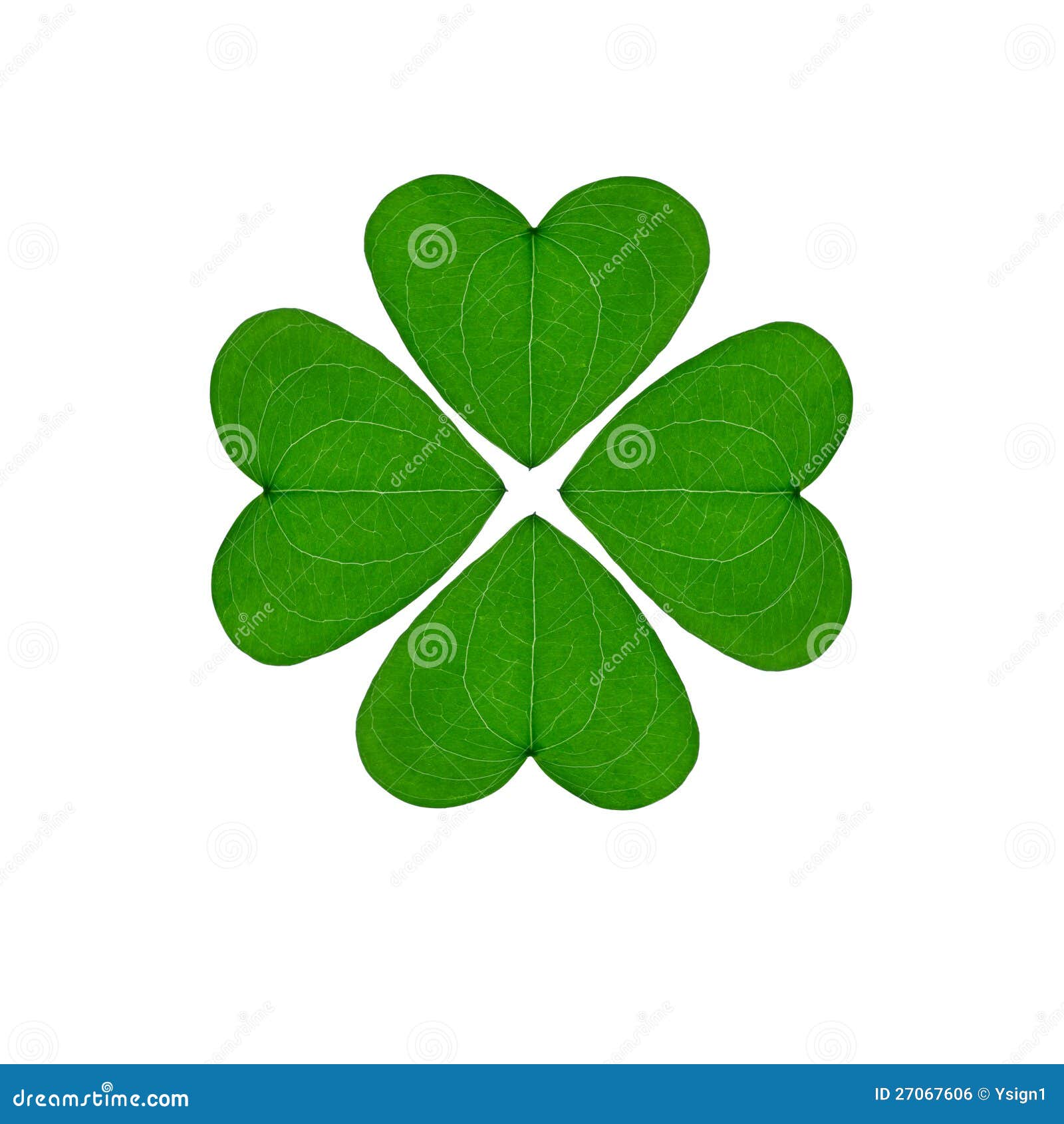 Four-leaf Clover Shaped By Eight Hands Of Four Persons Stock Photo ...