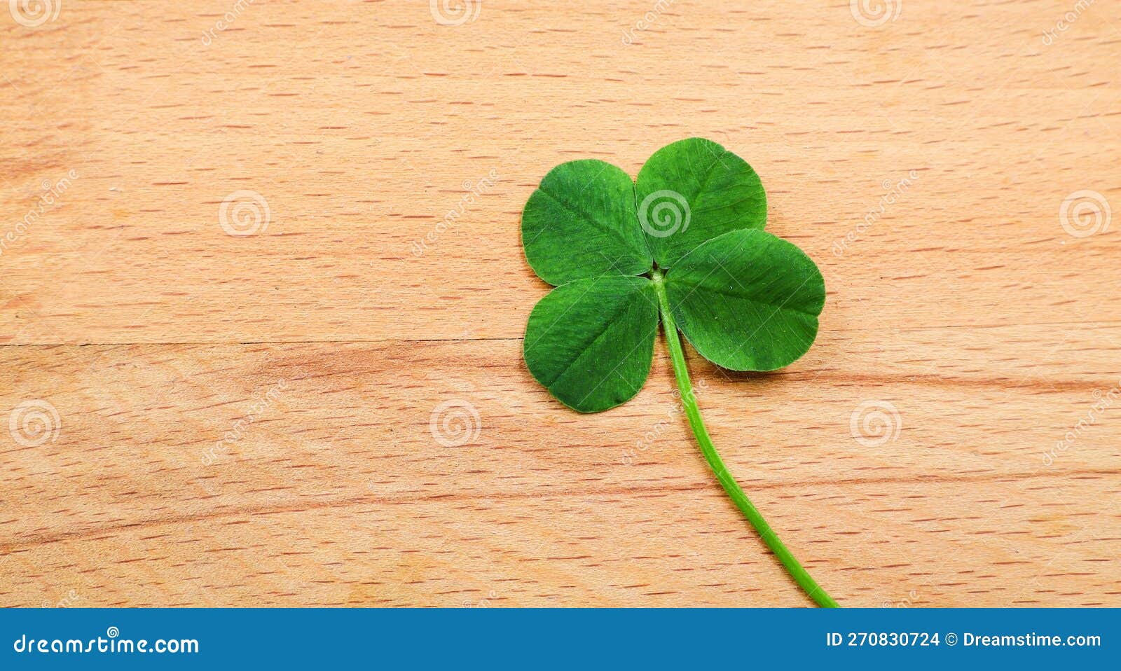 Four-leaf Clover on a Wooden Background. Good Luck Background Stock ...
