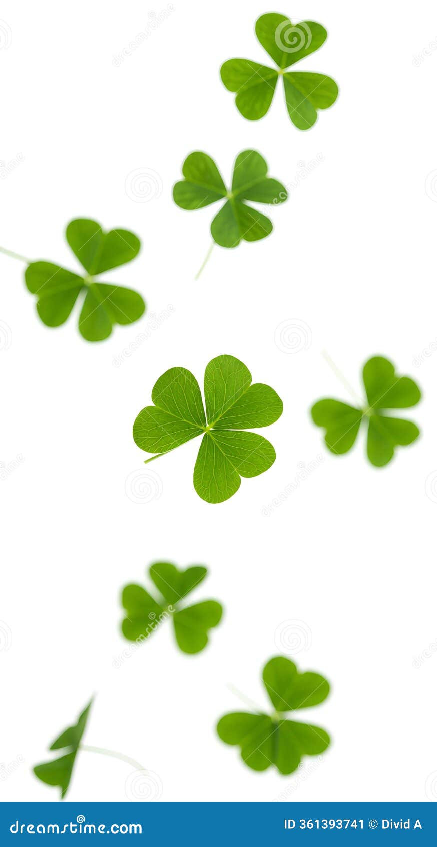 Four Leaf Clovers Falling Down Isolated. Green Shamrocks Floating in ...
