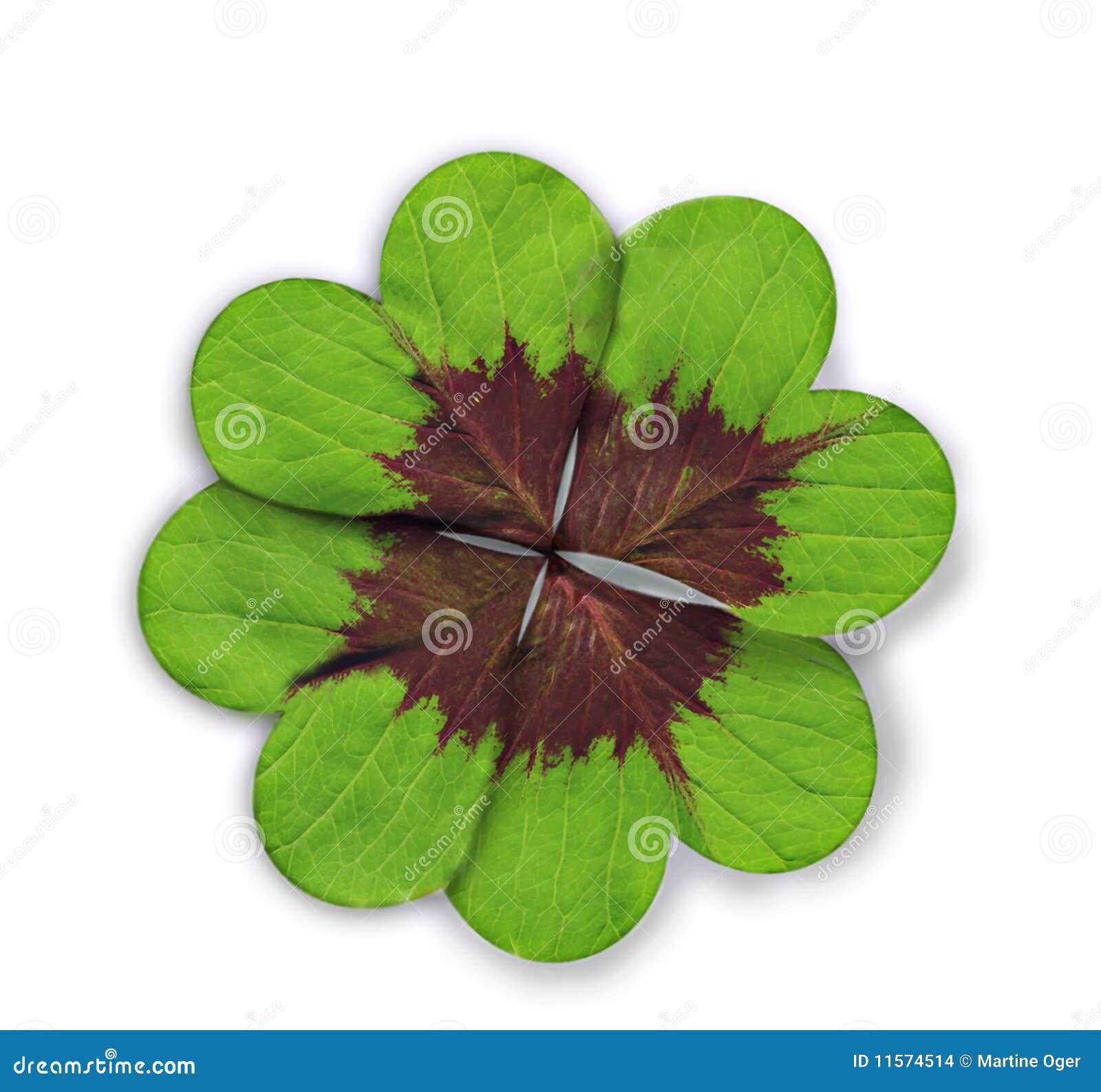 Four-leaved Clover Heart Shape. Stock Photo - Image of greeting ...