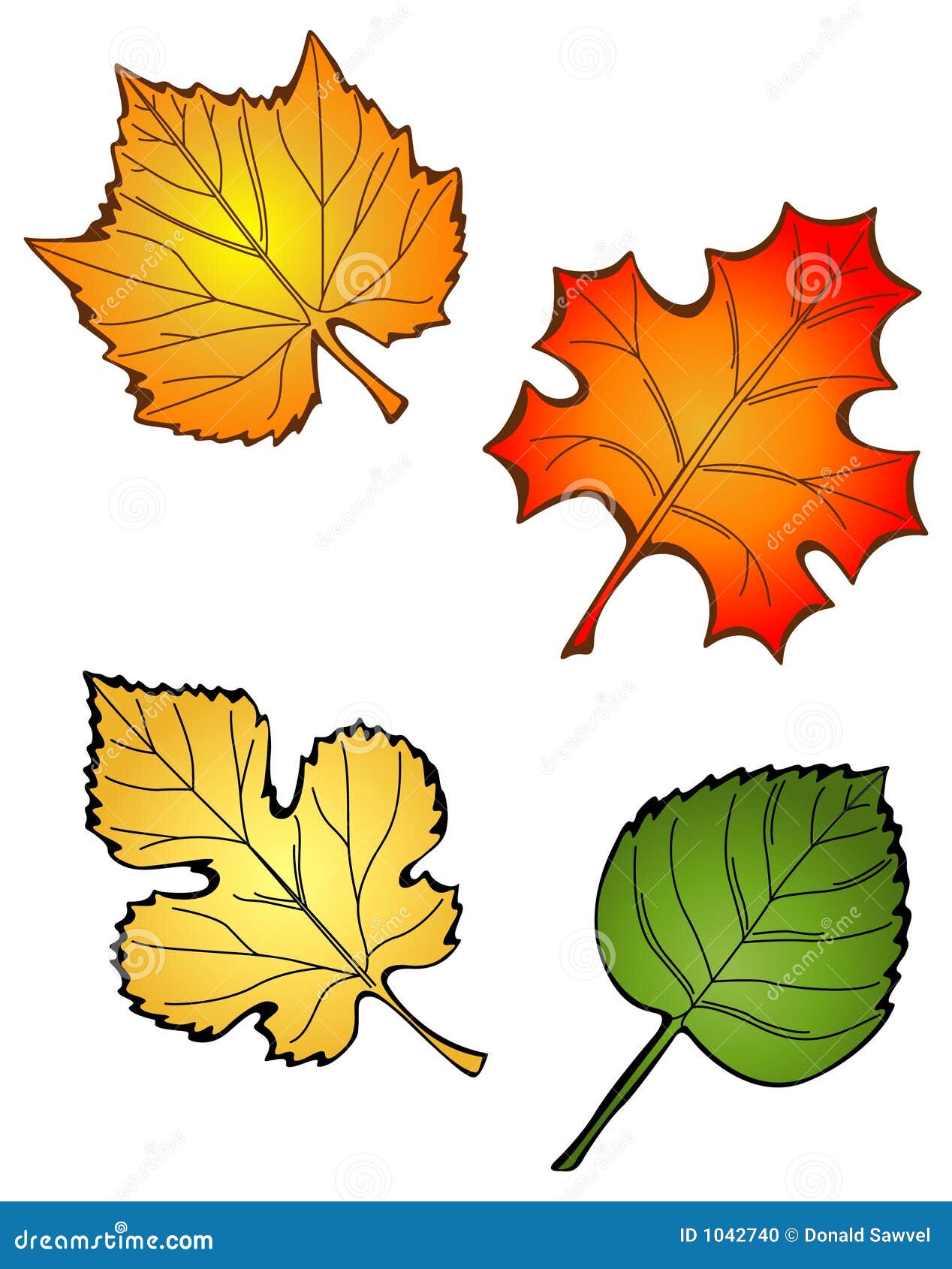 Four Leaves stock vector. Illustration of thanksgiving - 1042740