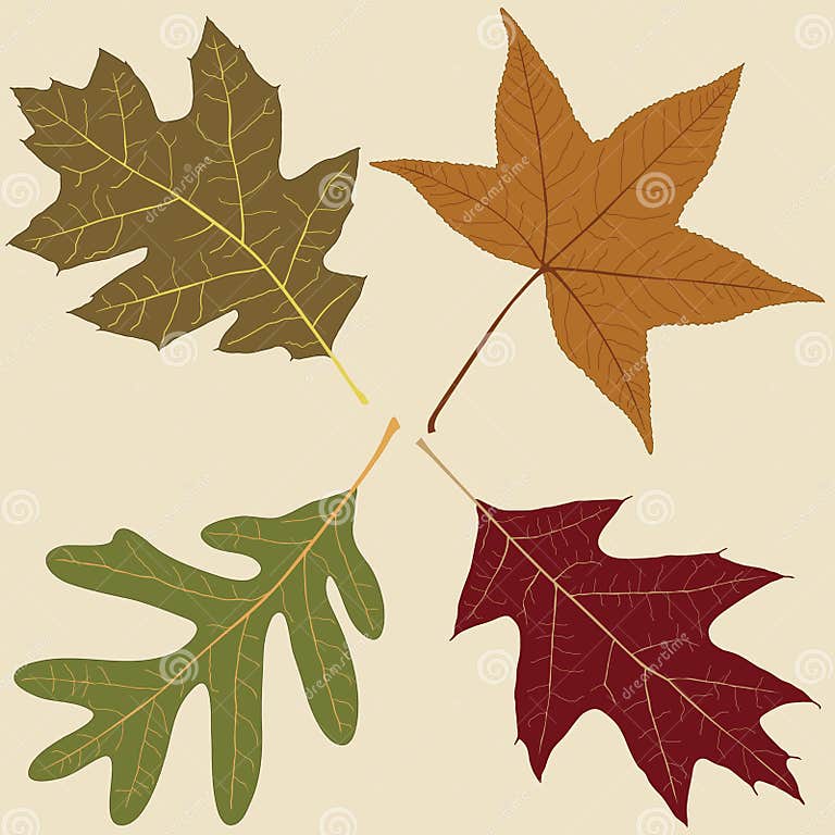 Four Leaves stock vector. Illustration of graphic, leaves - 1726007