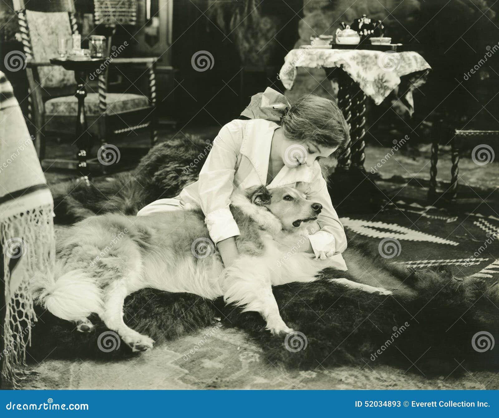 Four-legged friend stock image. Image of floor, affectionate - 52034893