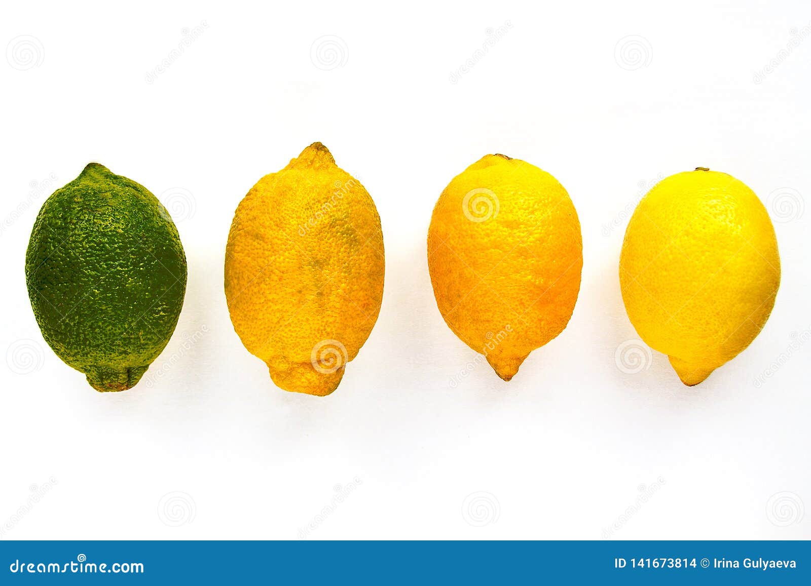 Four Lemons of Different Maturity Lie on a Table or on a White ...