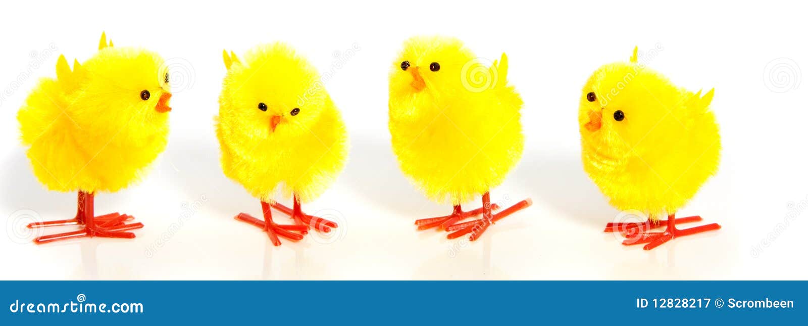 Little Yellow Chicks In Close Farm, Temperature And Light Control ...