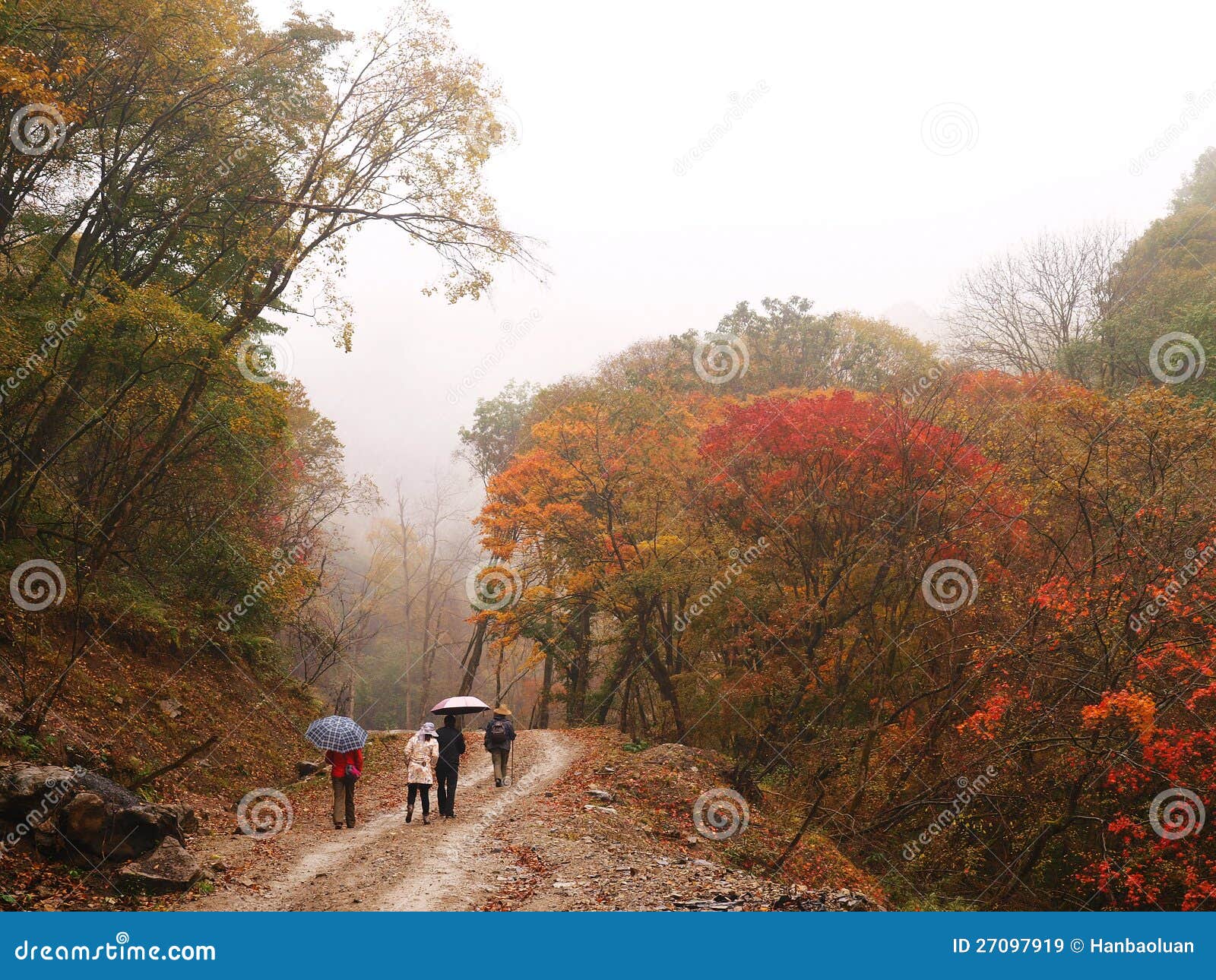 Four Men on Foot in the Forest Stock Image - Image of mountain ...