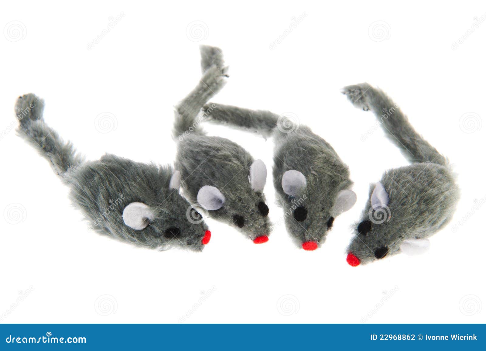 Four mice stock photo. Image of four, pair, background - 22968862