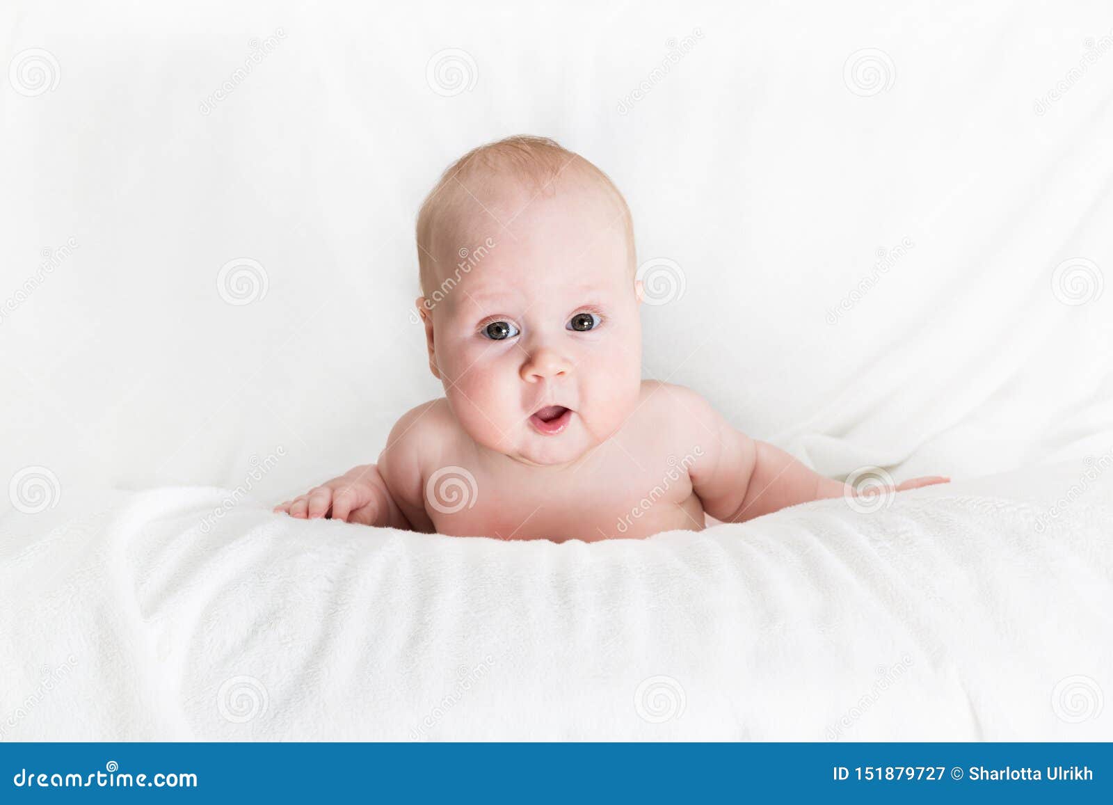 Four Month Old Baby Peeking Out of the White Surface Stock Image ...
