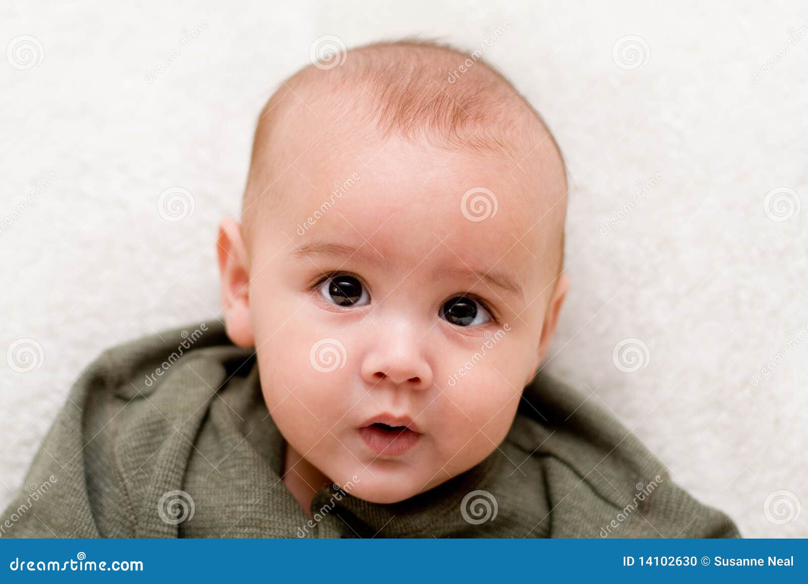 Four month old baby s face stock photo. Image of young - 14102630