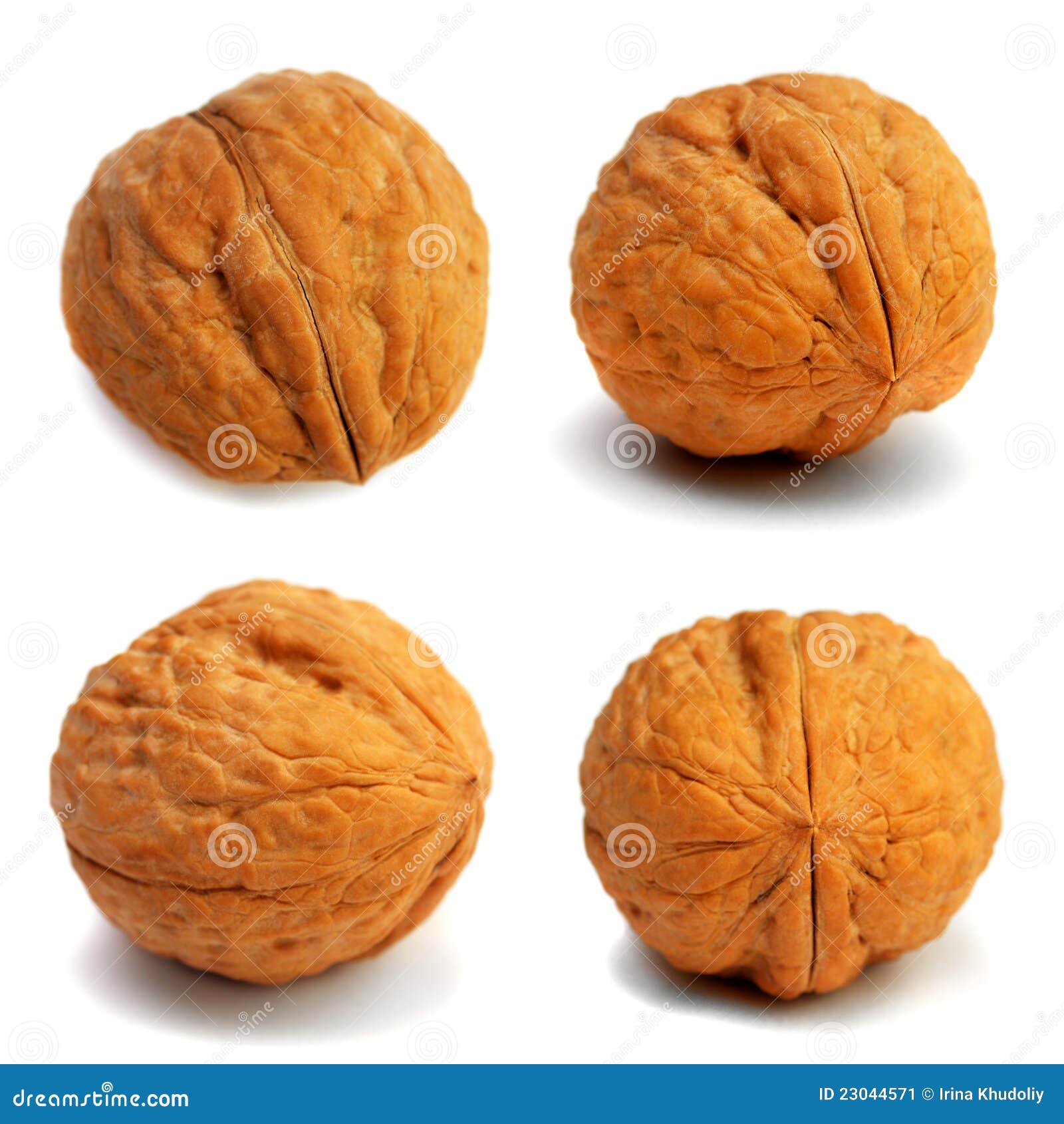 Four nuts stock image. Image of dried, background, closeup - 23044571
