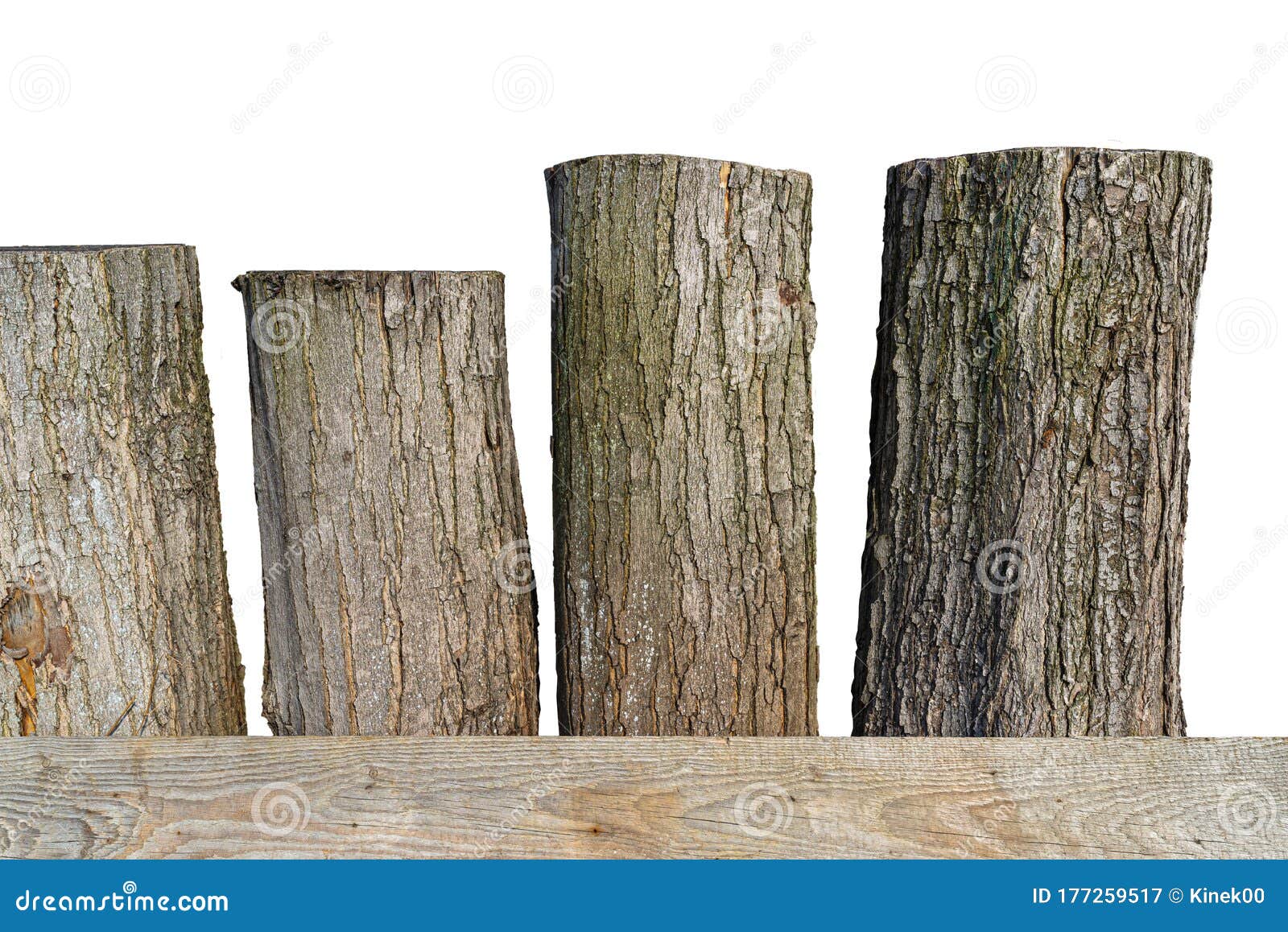 Four Old Tree Trunks Standing in a Row on a Wooden Board, Isolated on ...