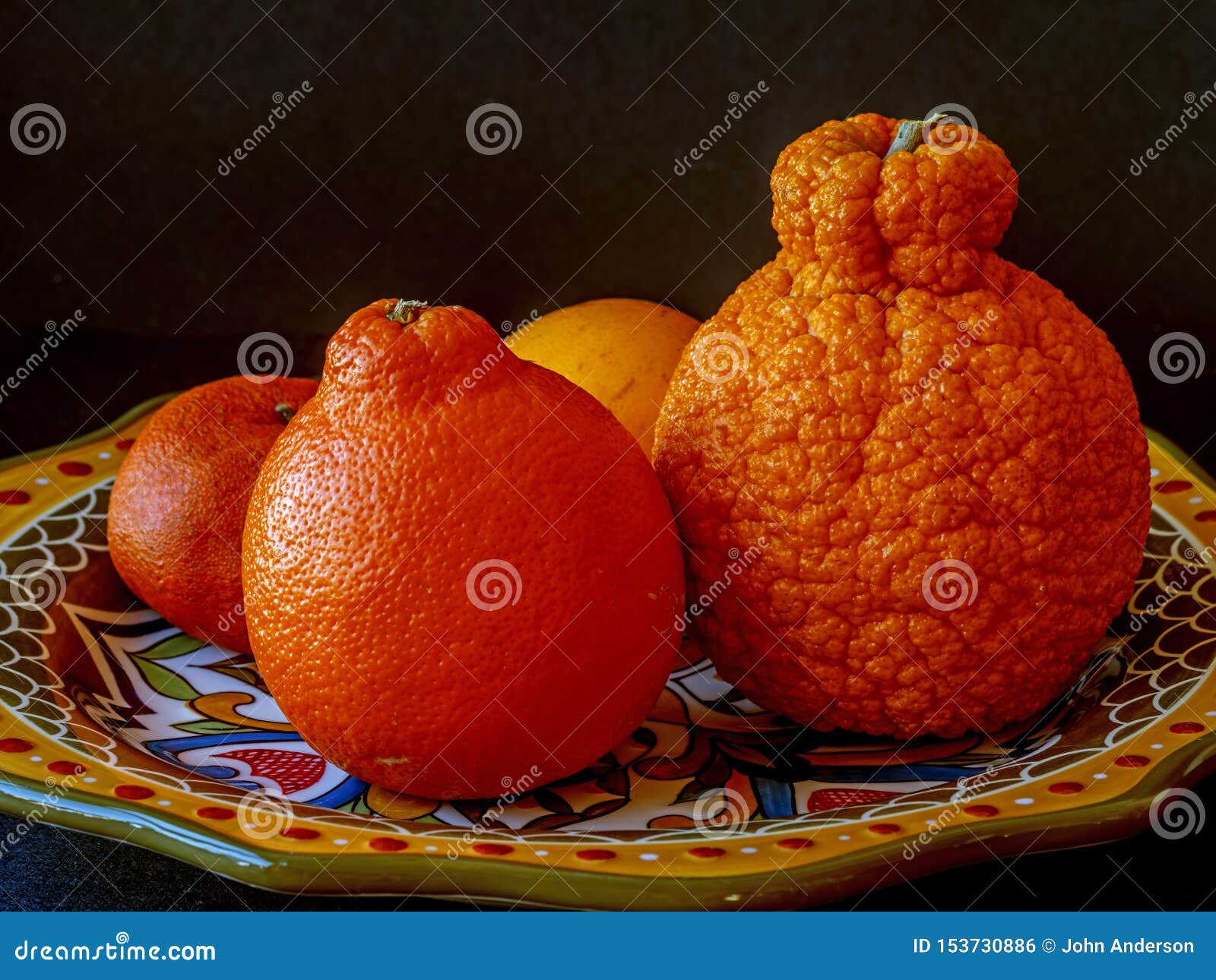 Four oranges on display stock photo. Image of background - 153730886