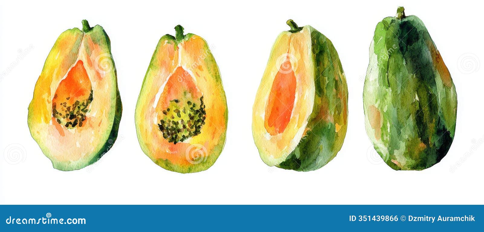 Four Papayas Shown in Different Phases of Being Cut Open, from Intact ...