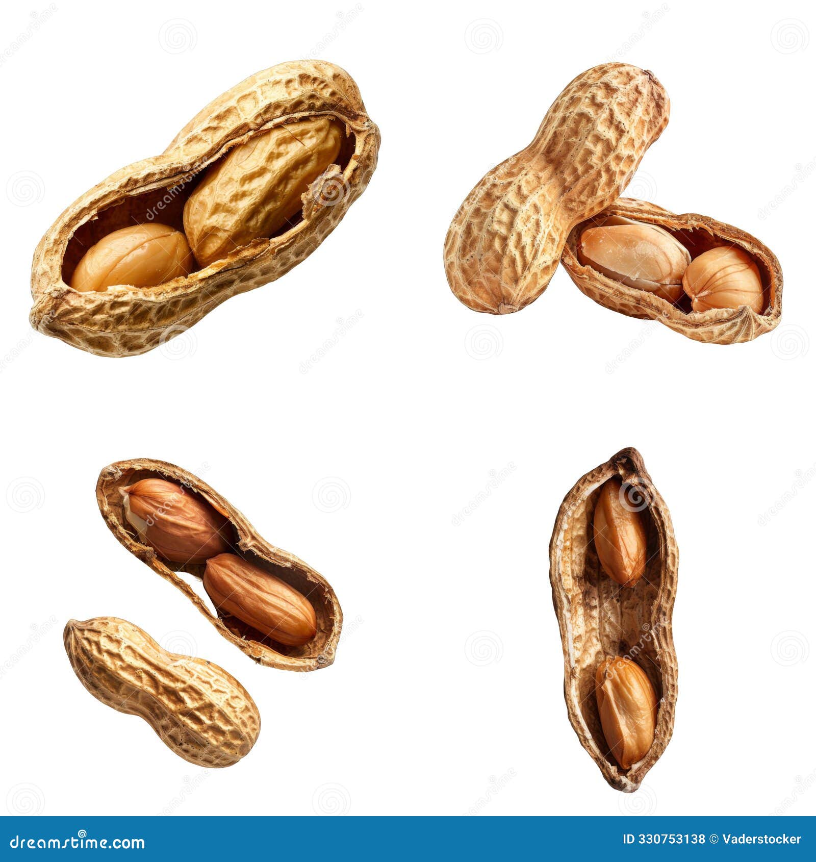 Four Peanuts in Various States of Being Shelled Stock Illustration ...
