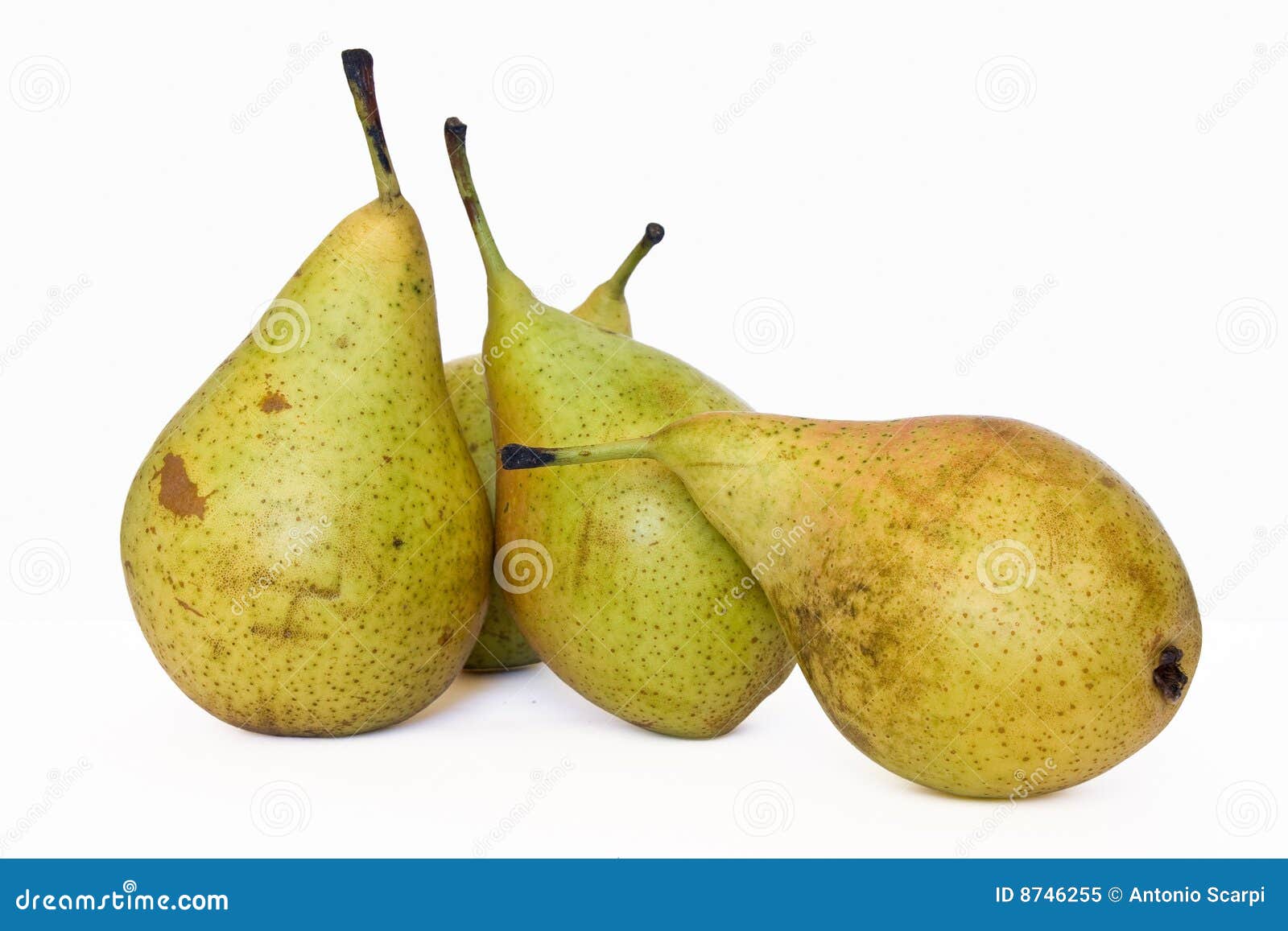 Four pears stock image. Image of diet, flavour, pears - 8746255