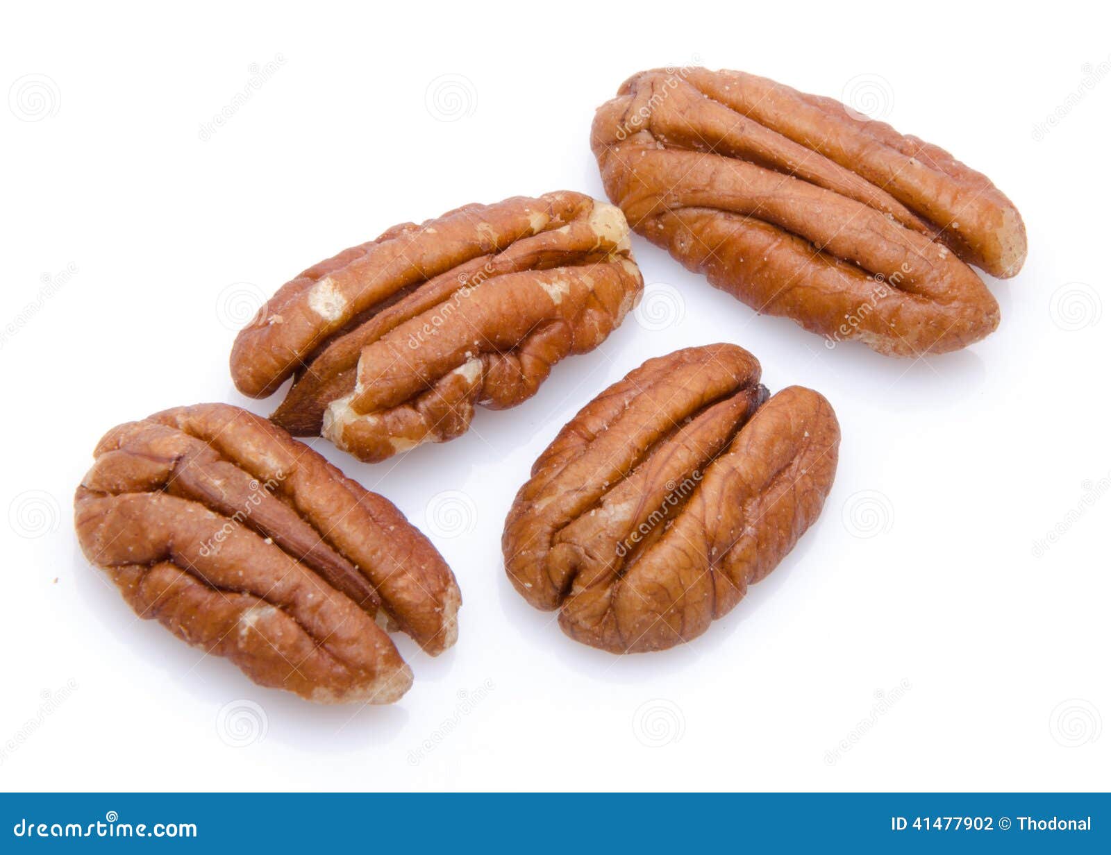Four pecan nuts stock photo. Image of nuts, organic, isolated - 41477902