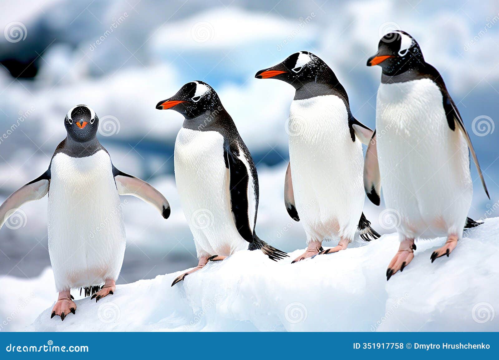 Four Penguins Stand on an Icy Surface, Engaged in Interaction, with an ...