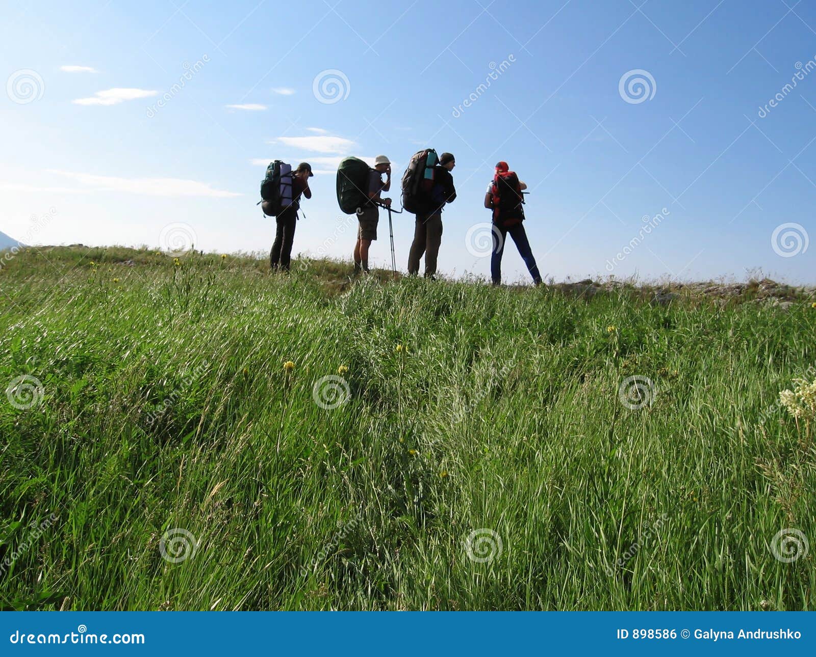 Four People on the Backpacking Stock Photo - Image of person, ukraine ...