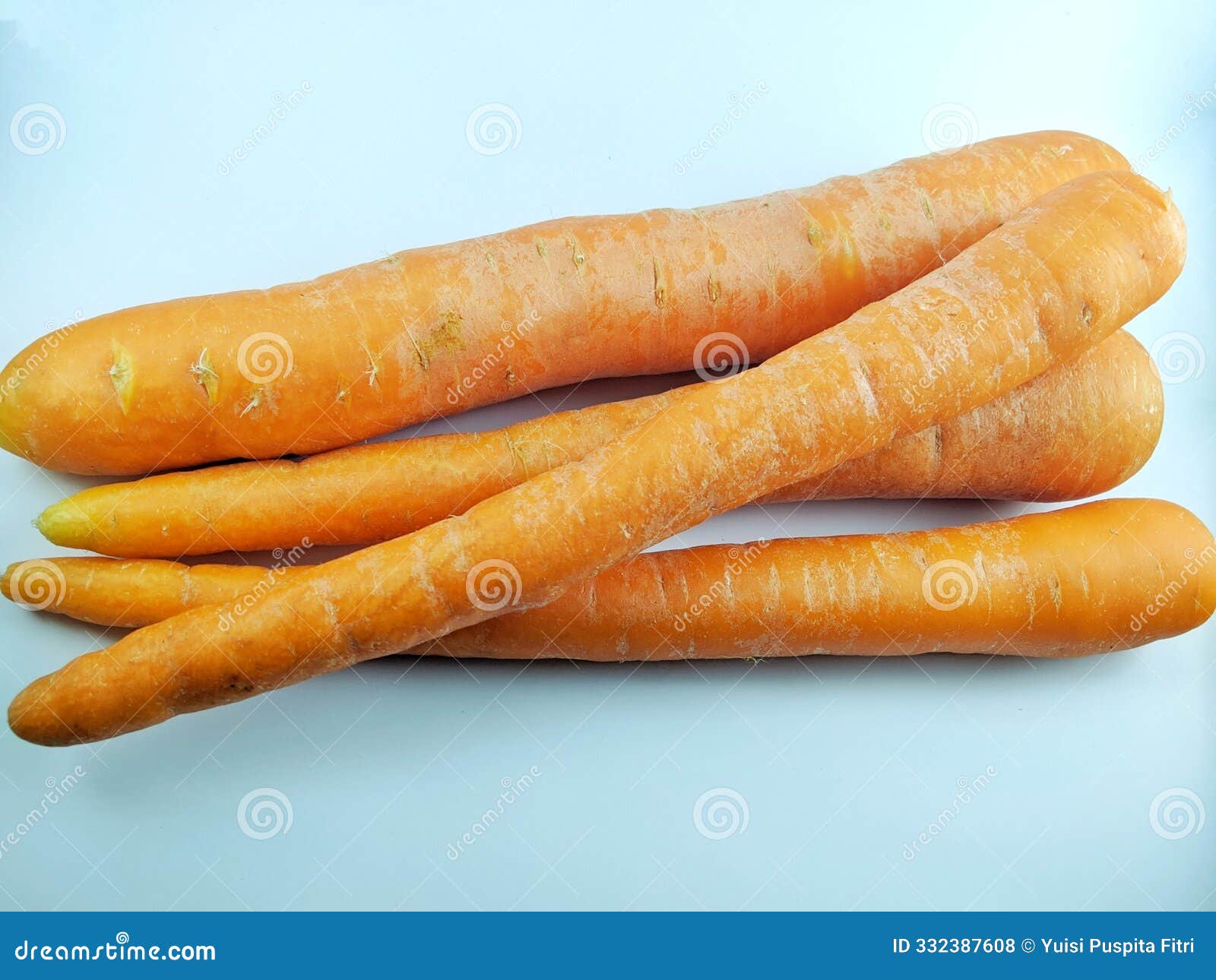 Four pieces of carrot stock photo. Image of fruit, vegetable - 332387608