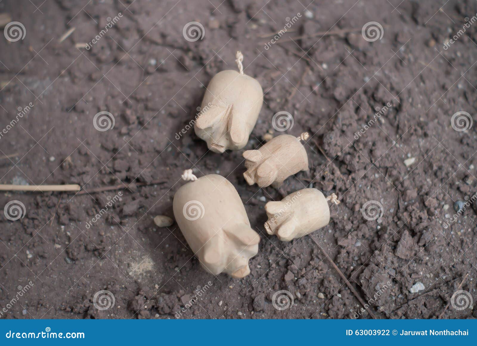 Four pigs stand on ground stock photo. Image of hope - 63003922