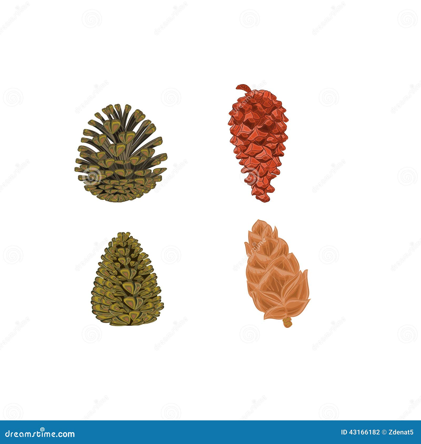 Larch Vector Illustration. Hand-sketched Conifer Tree Drawing. Winter ...