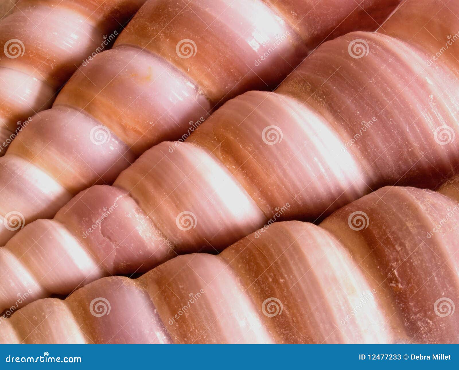 Four pink seashells stock image. Image of seashells, pink - 12477233