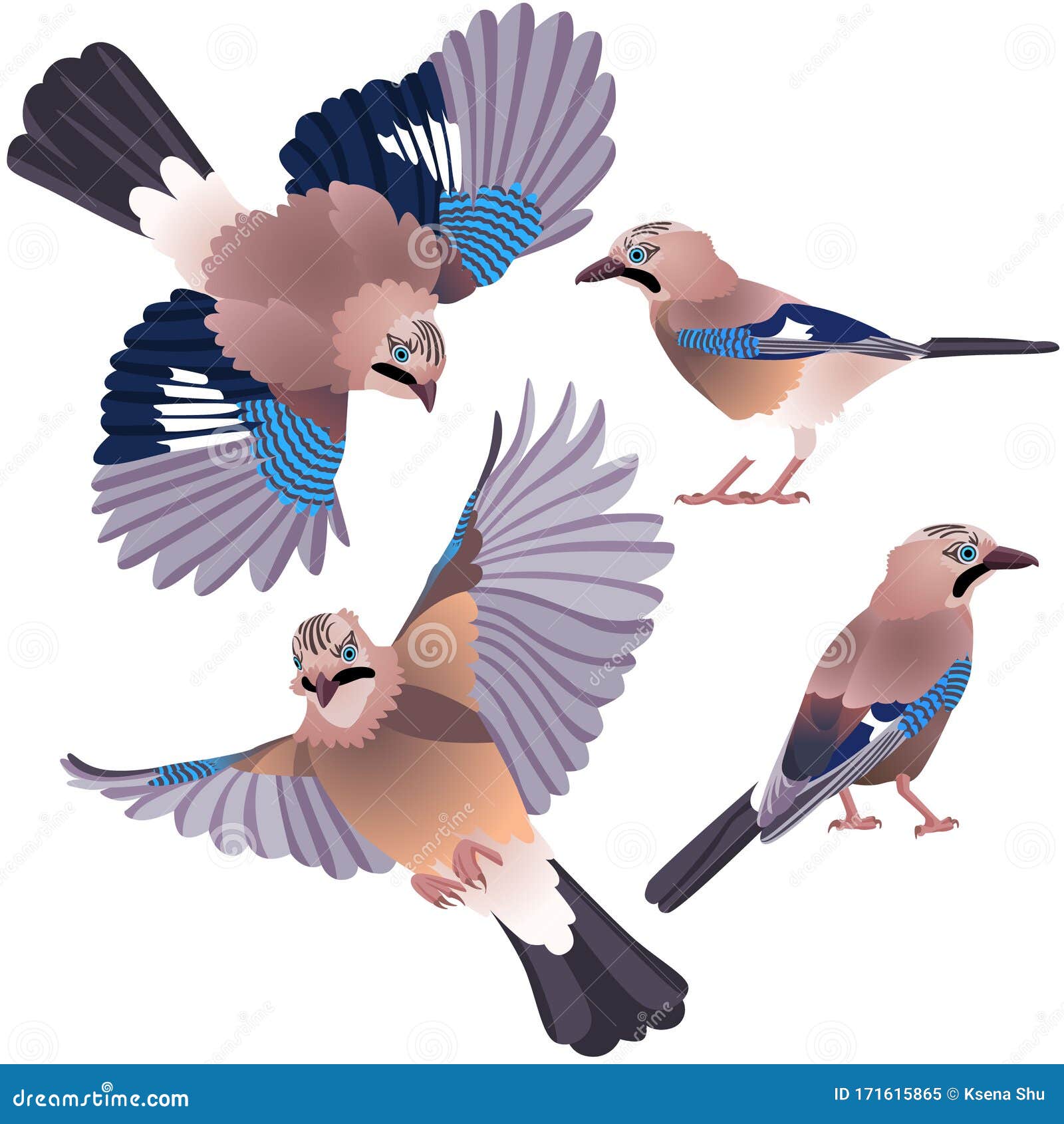 Eurasian Cartoons, Illustrations & Vector Stock Images - 15035 Pictures ...