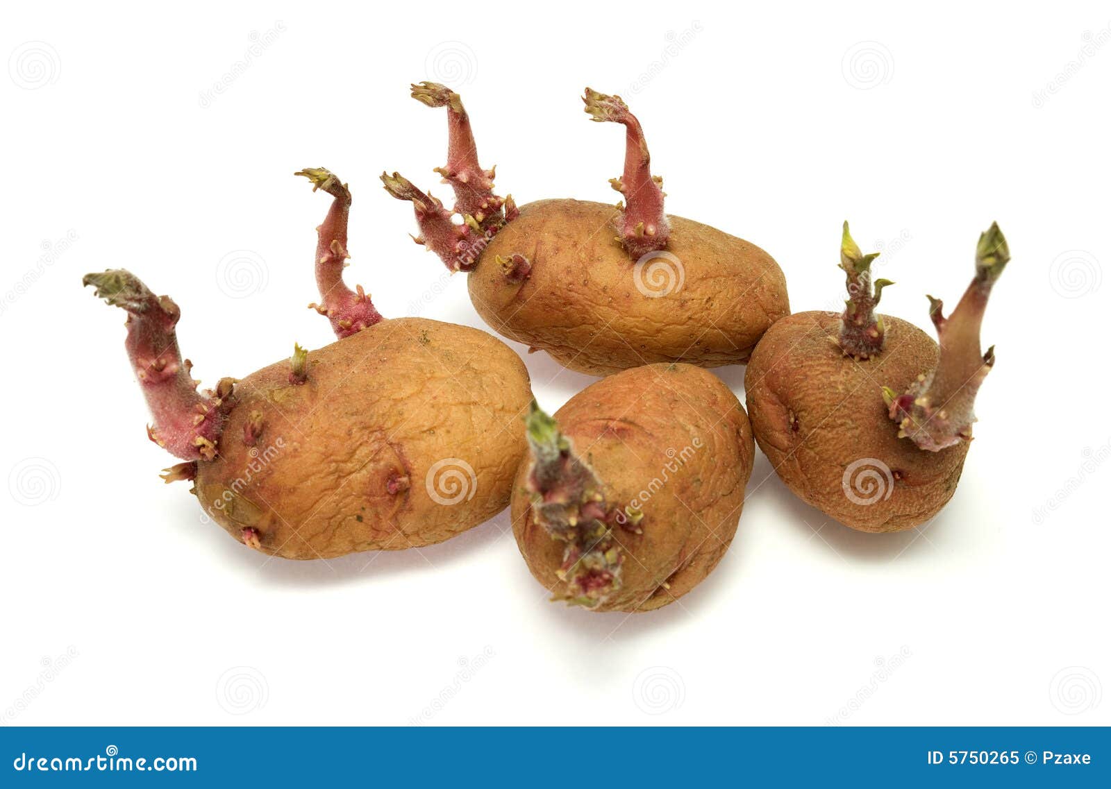 Tubers Of Potato And Stack Chips. Royalty-Free Stock Photography ...