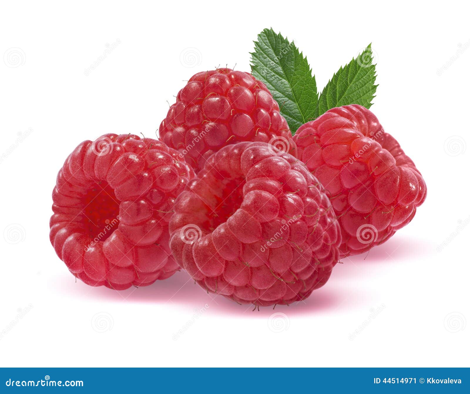 Four Raspberries on White Background Stock Image - Image of healthy ...