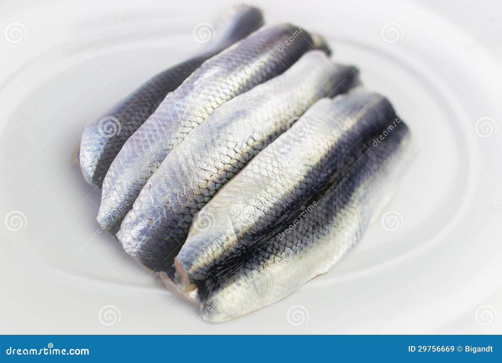 Plate with Four Raw Herrings Stock Image - Image of scandinavian, small ...