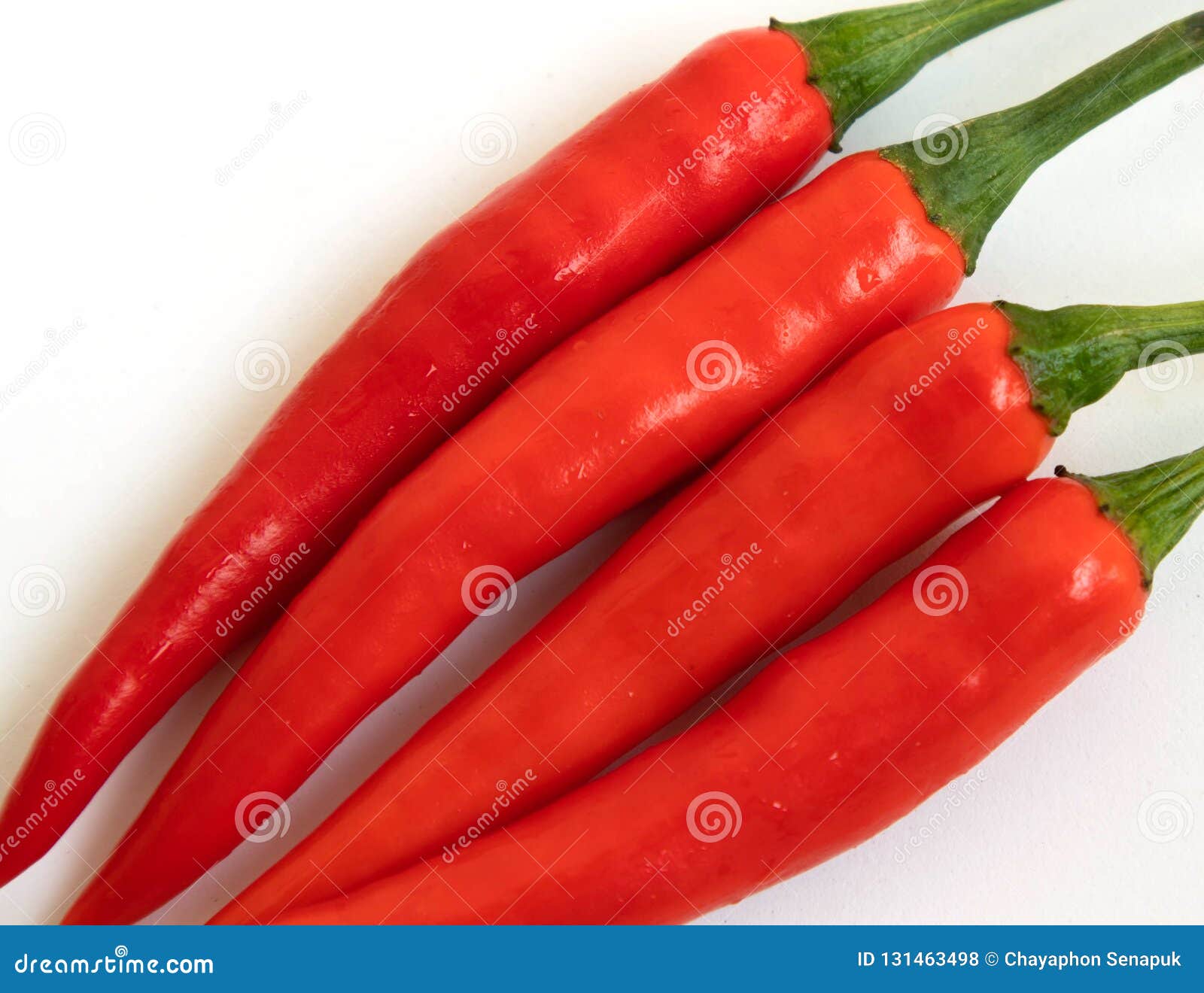 Red Chilli on White Background Stock Photo - Image of peppers ...