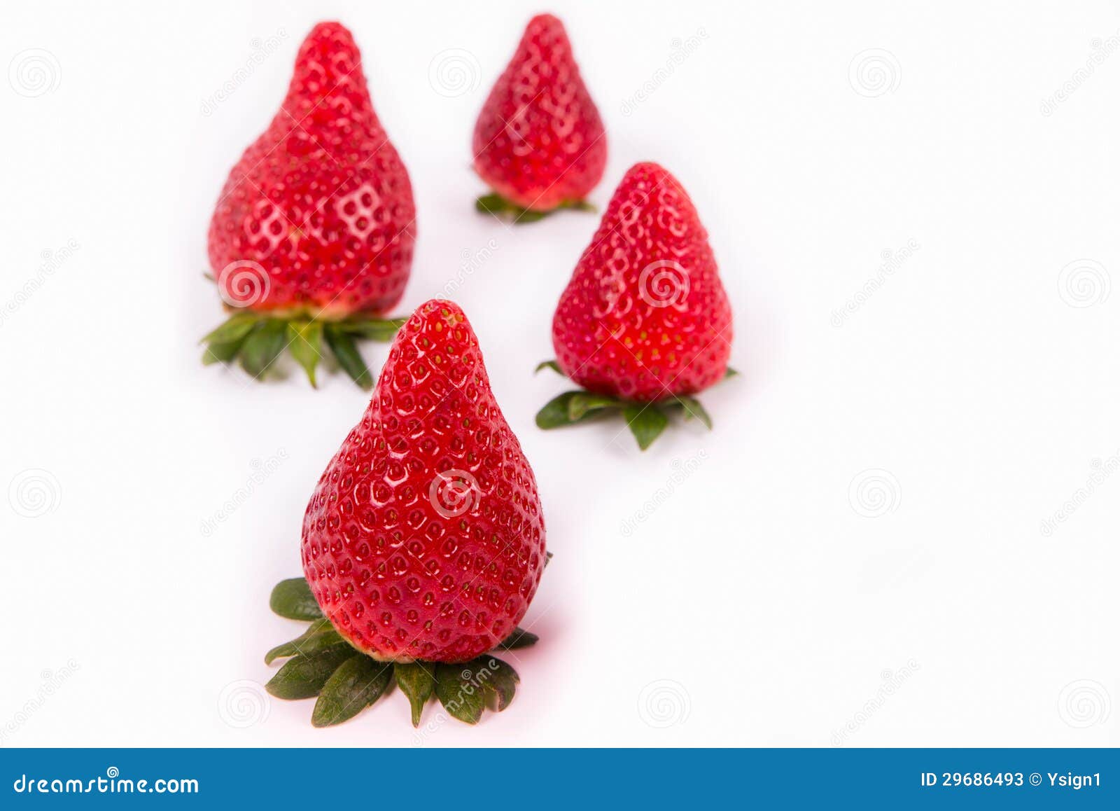 Four red ripe strawberries stock image. Image of dessert - 29686493