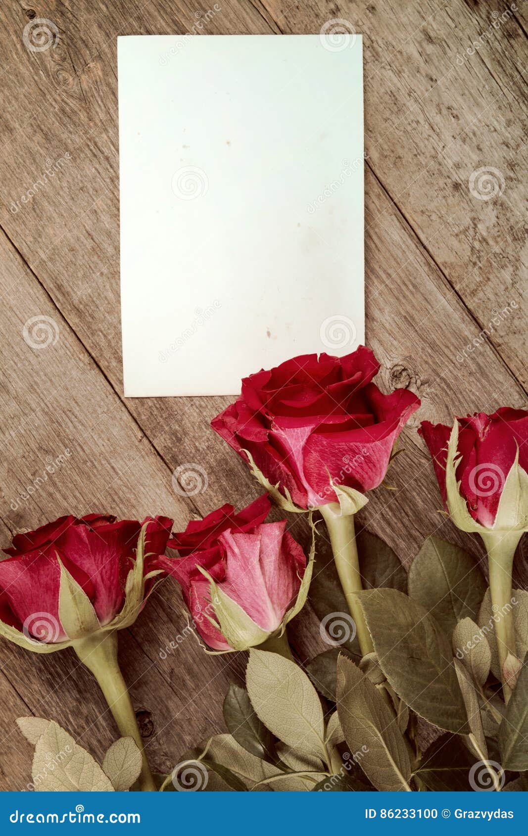 Four Red Roses and Blank Card Stock Photo - Image of passion, beauty ...