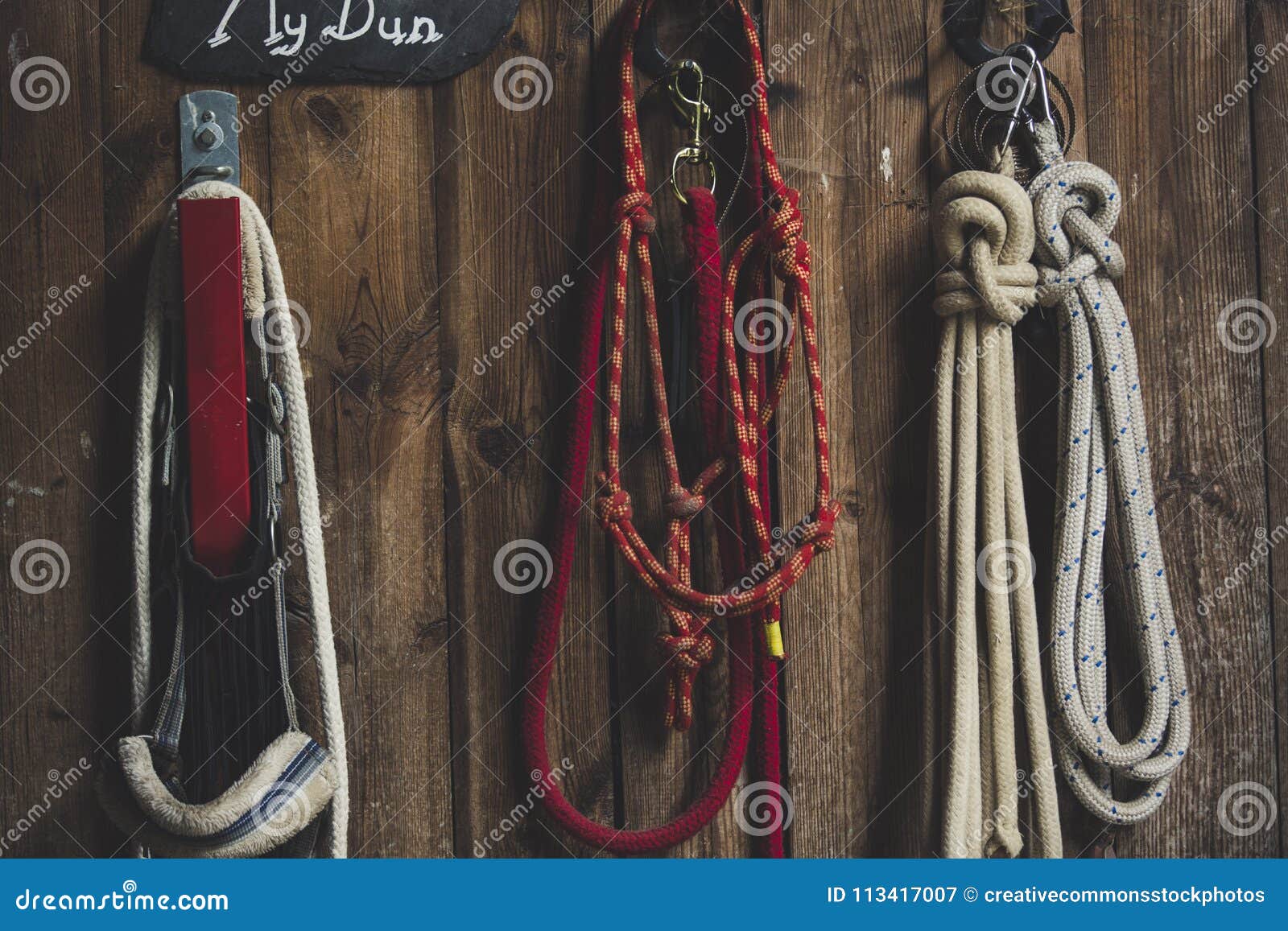 Four Ropes Hanged On Brown Board Picture. Image: 113417007