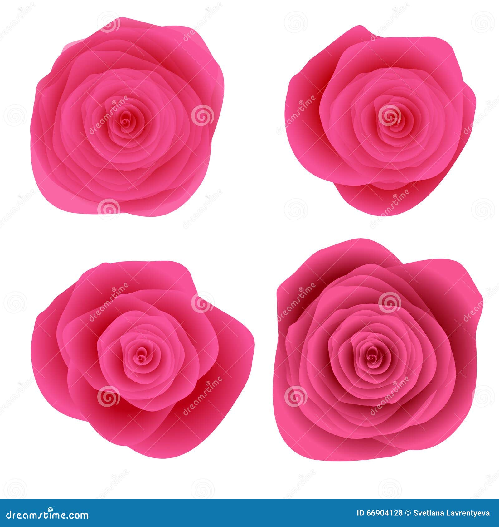 Four Roses on White Background Stock Vector - Illustration of pink ...