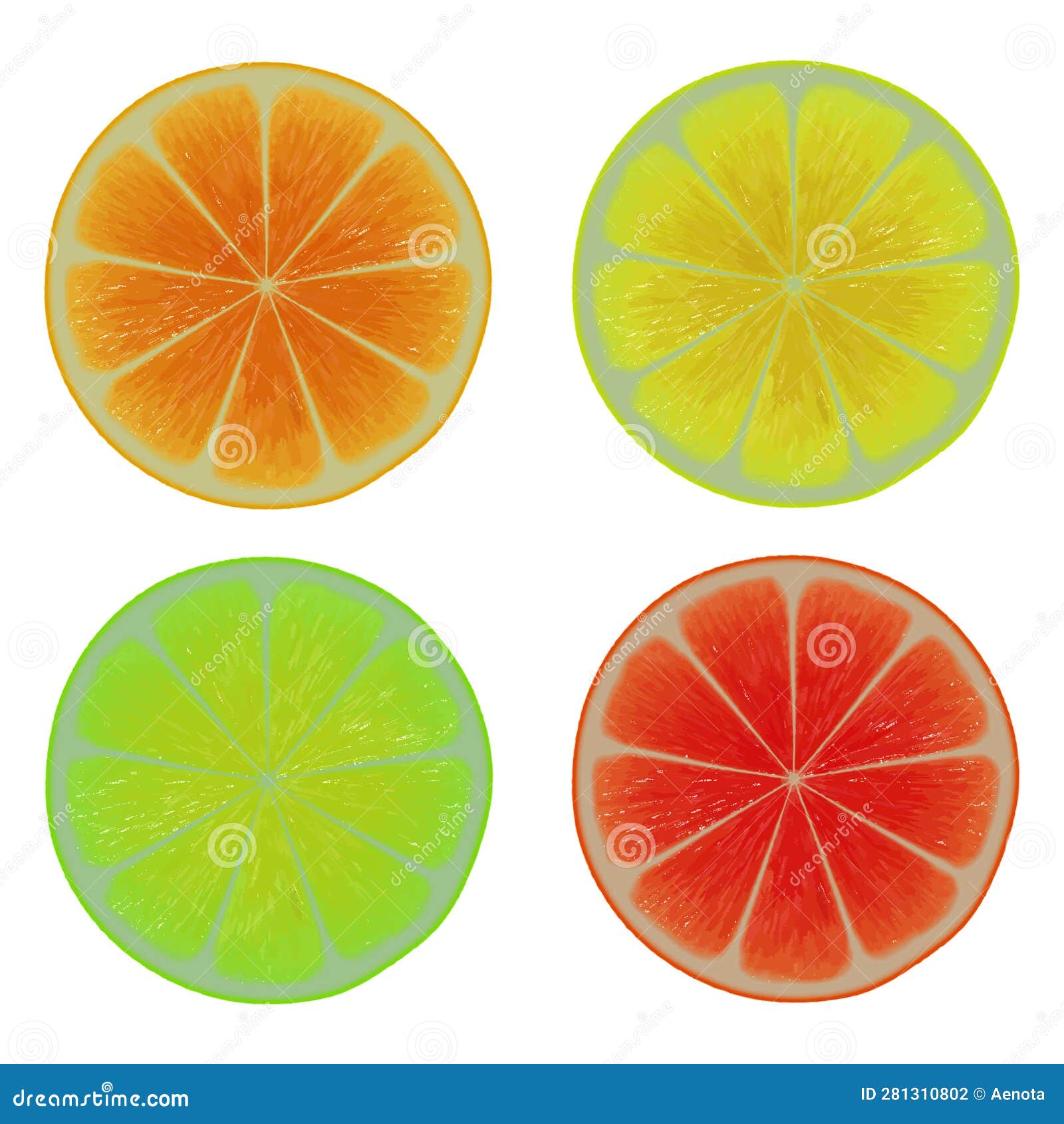 Four Round Citrus Fruit Cuts Stock Vector - Illustration of grapefruit ...