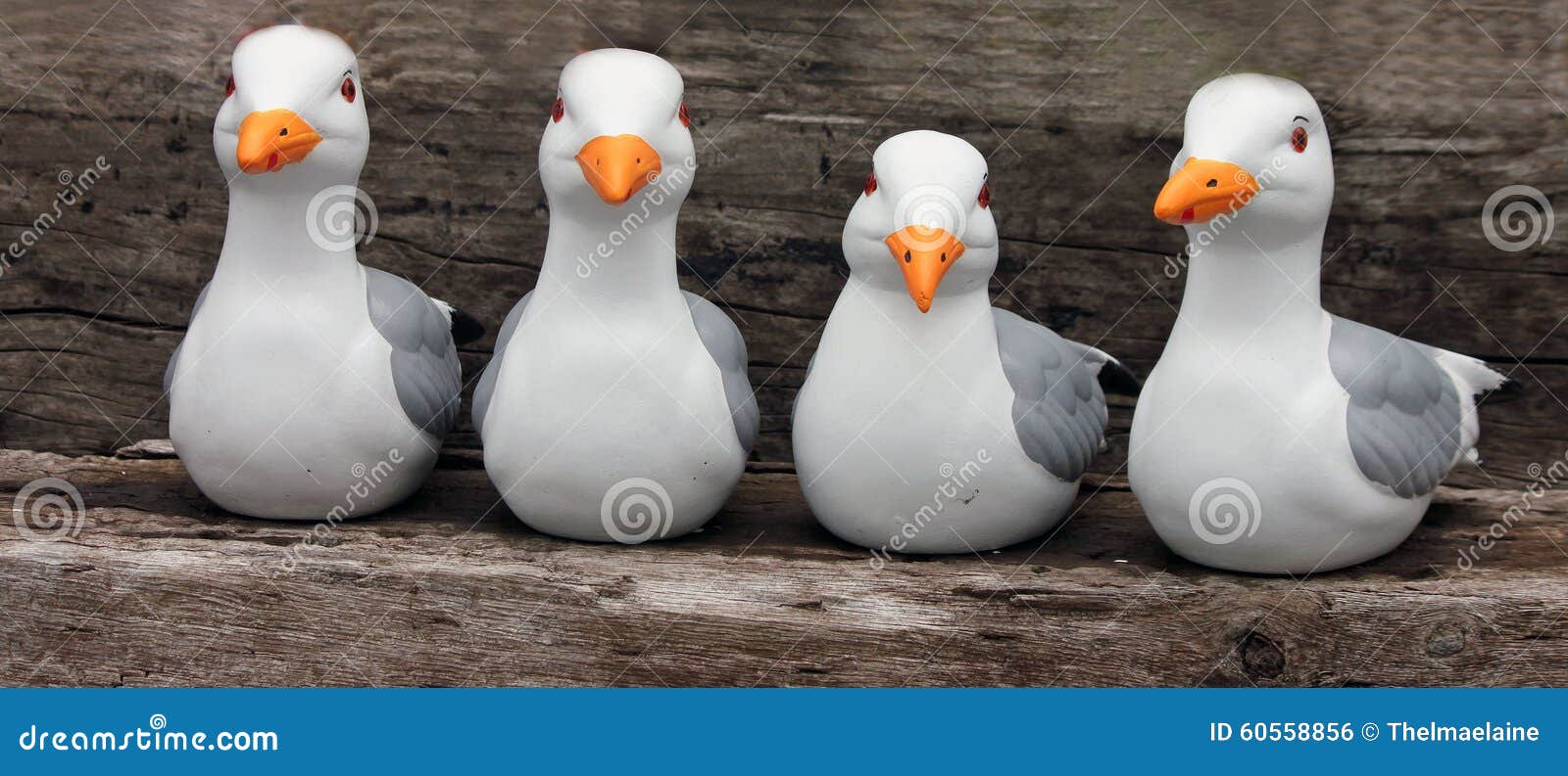 Four Seagull Statues All in a Row Stock Photo - Image of nautical ...