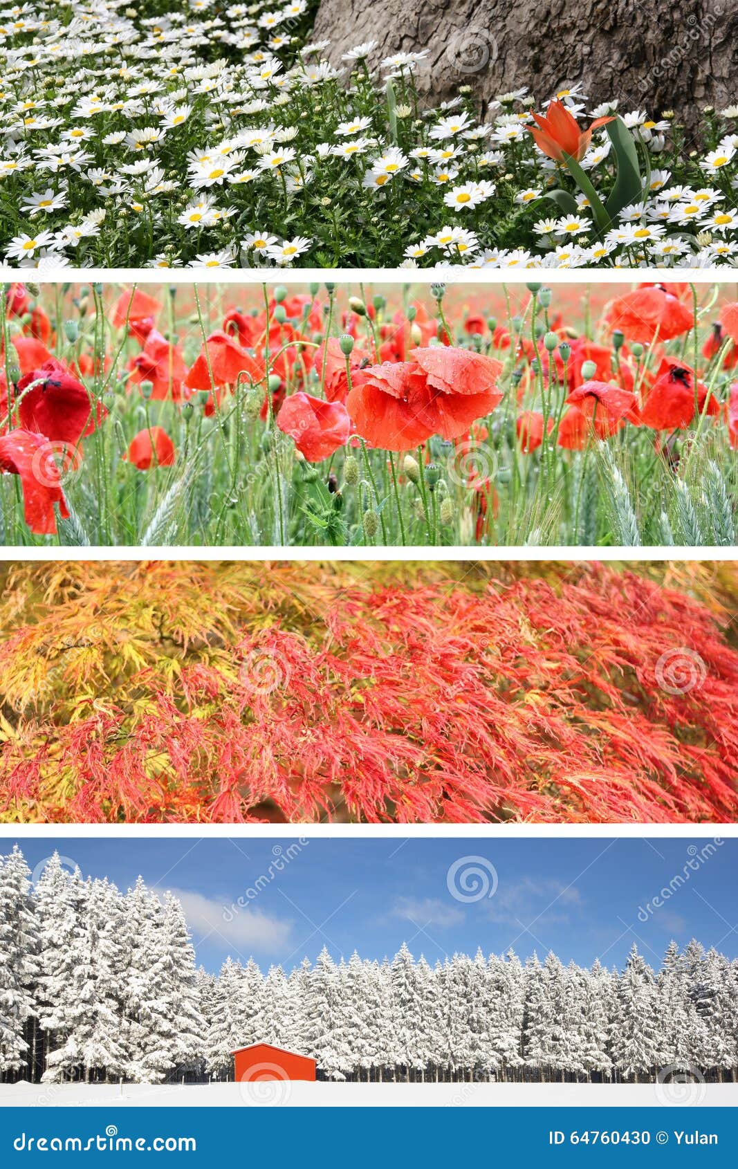 Four season collage stock photo. Image of scene, covered - 64760430