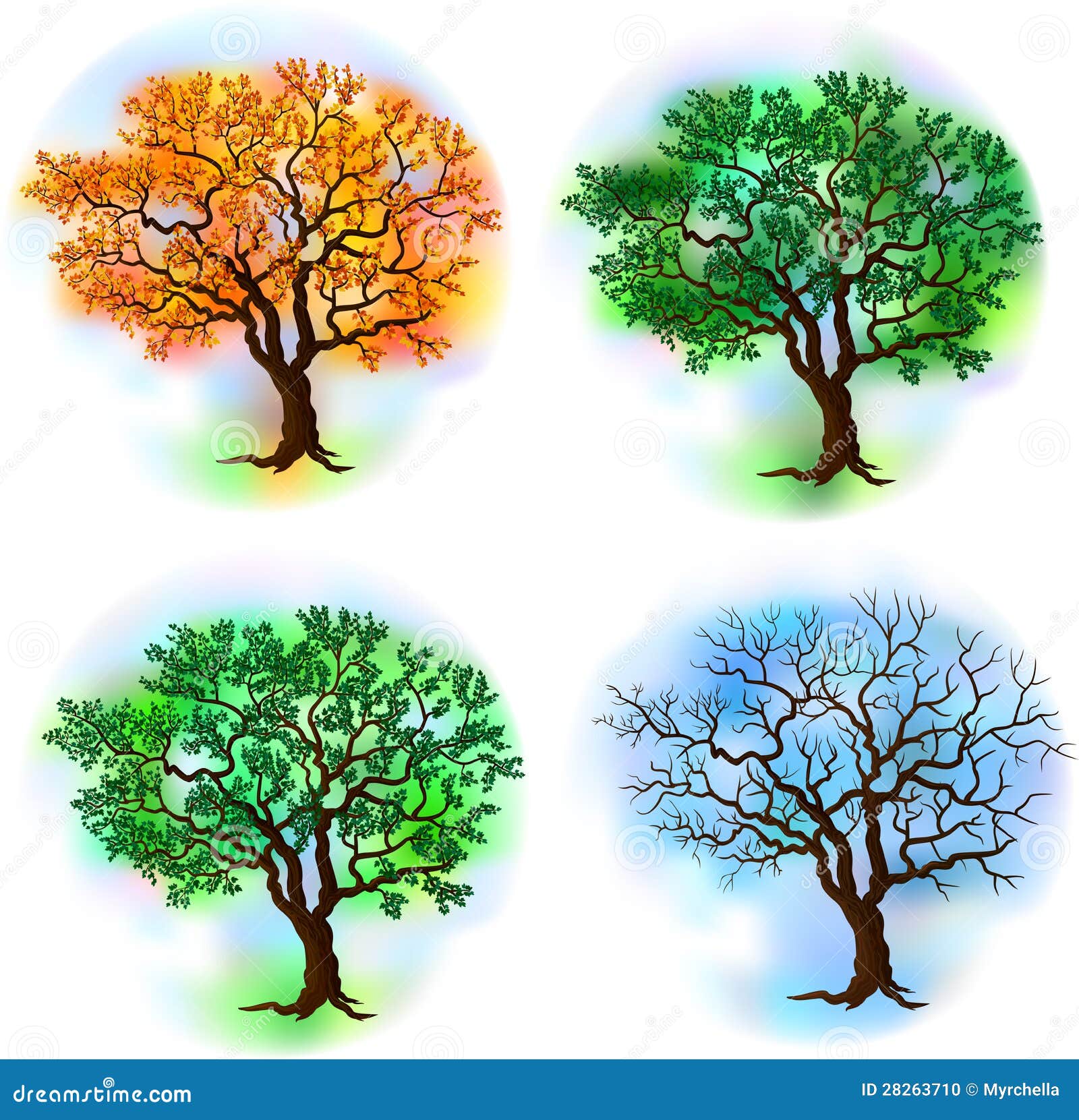 Four season trees stock vector. Illustration of lone - 28263710